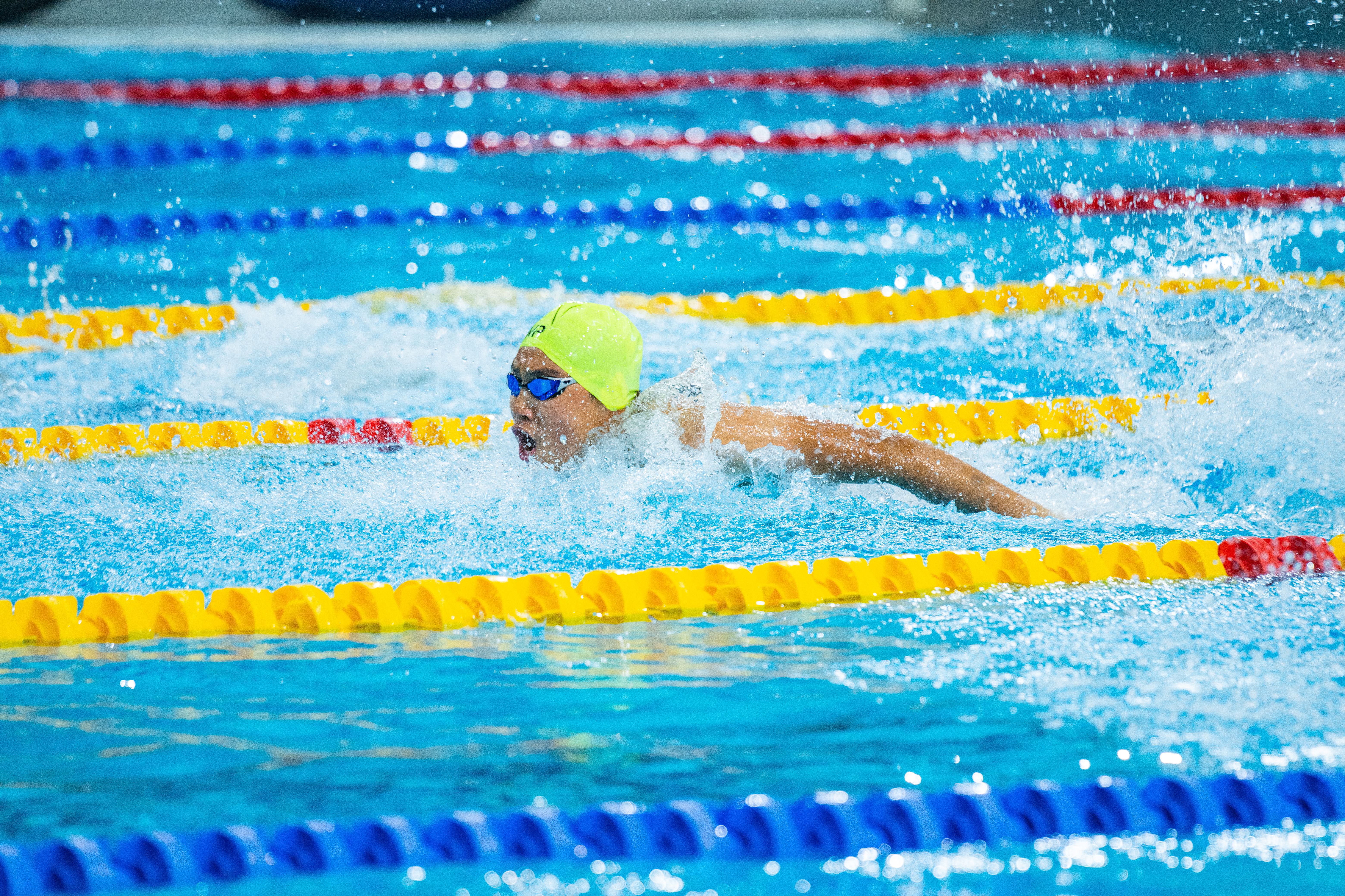 Competitive Swimmer in Action at Pool · Free Stock Photo