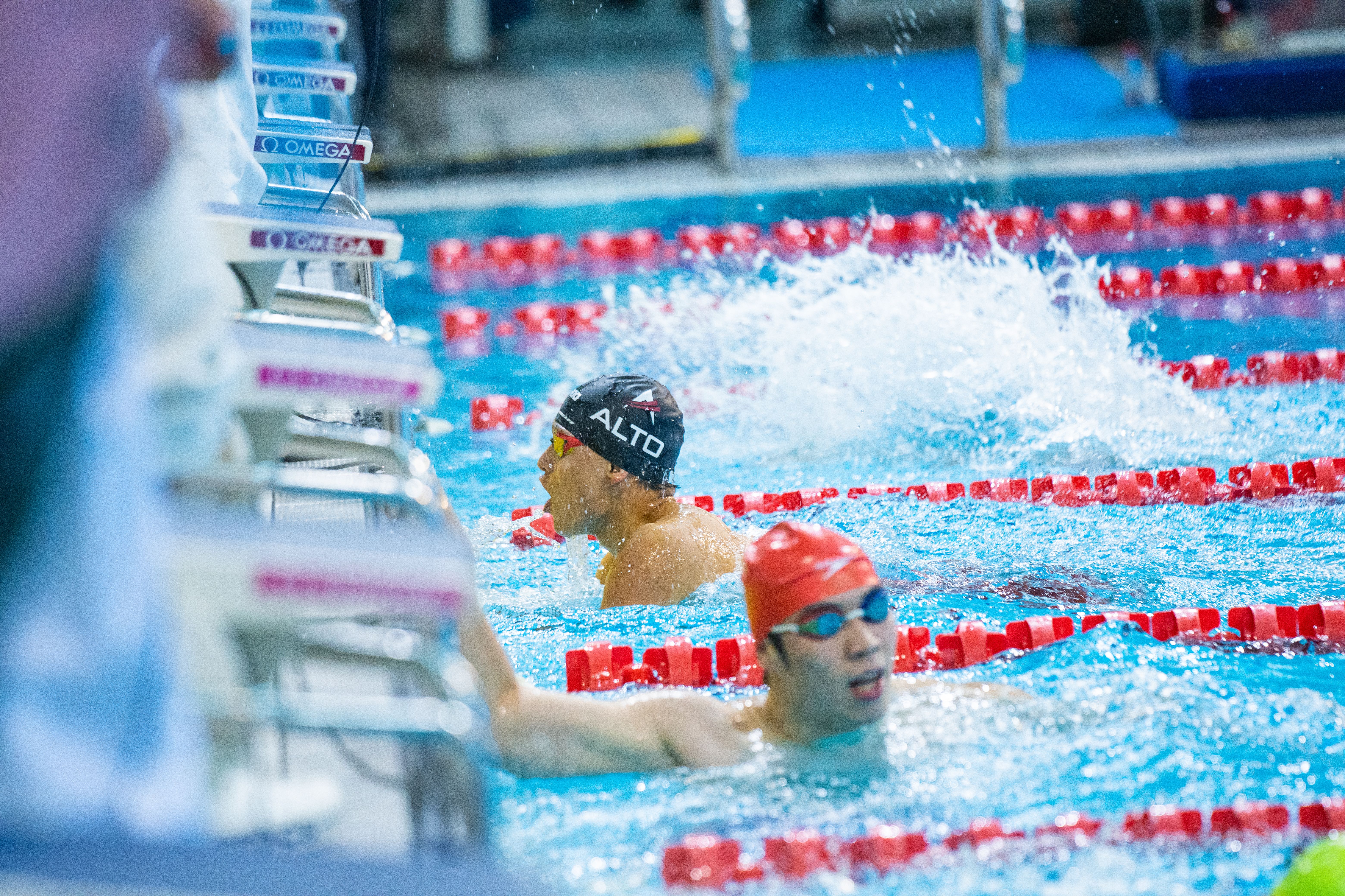 Competitive Swimmers in Indoor Pool Race · Free Stock Photo
