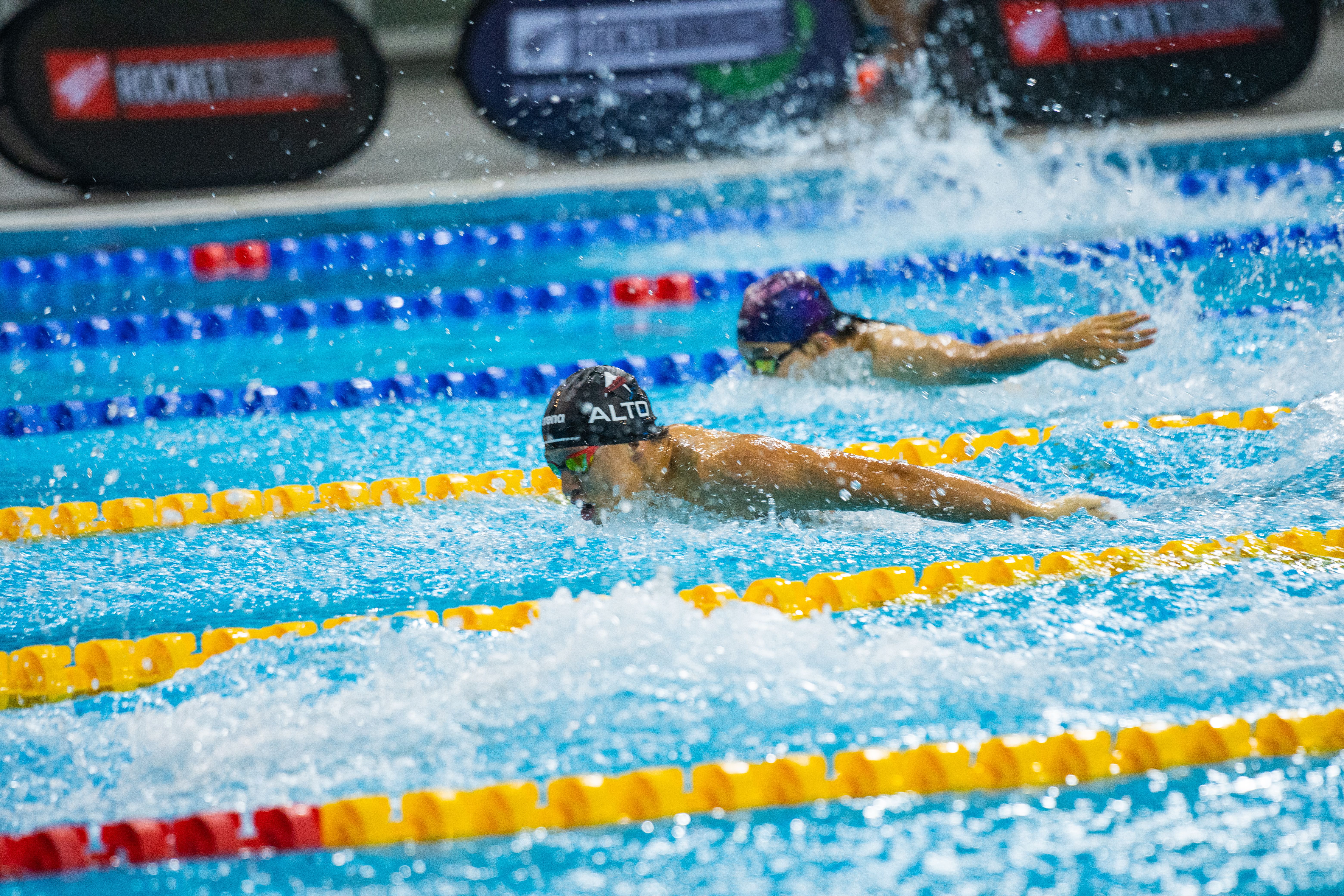 Competitive Swimmers Racing in Indoor Pool · Free Stock Photo