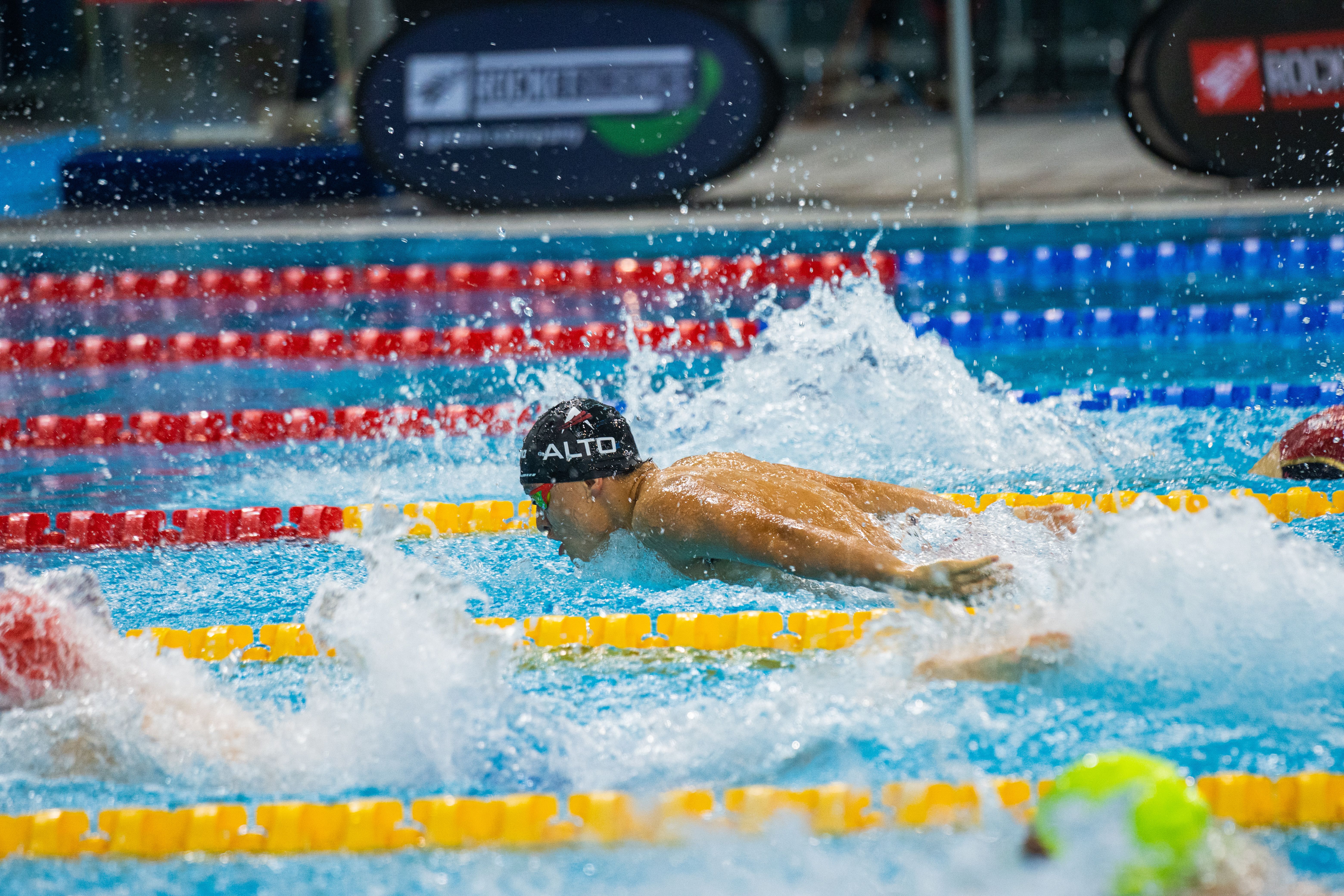 Competitive Swimmers in a Race at Pool · Free Stock Photo