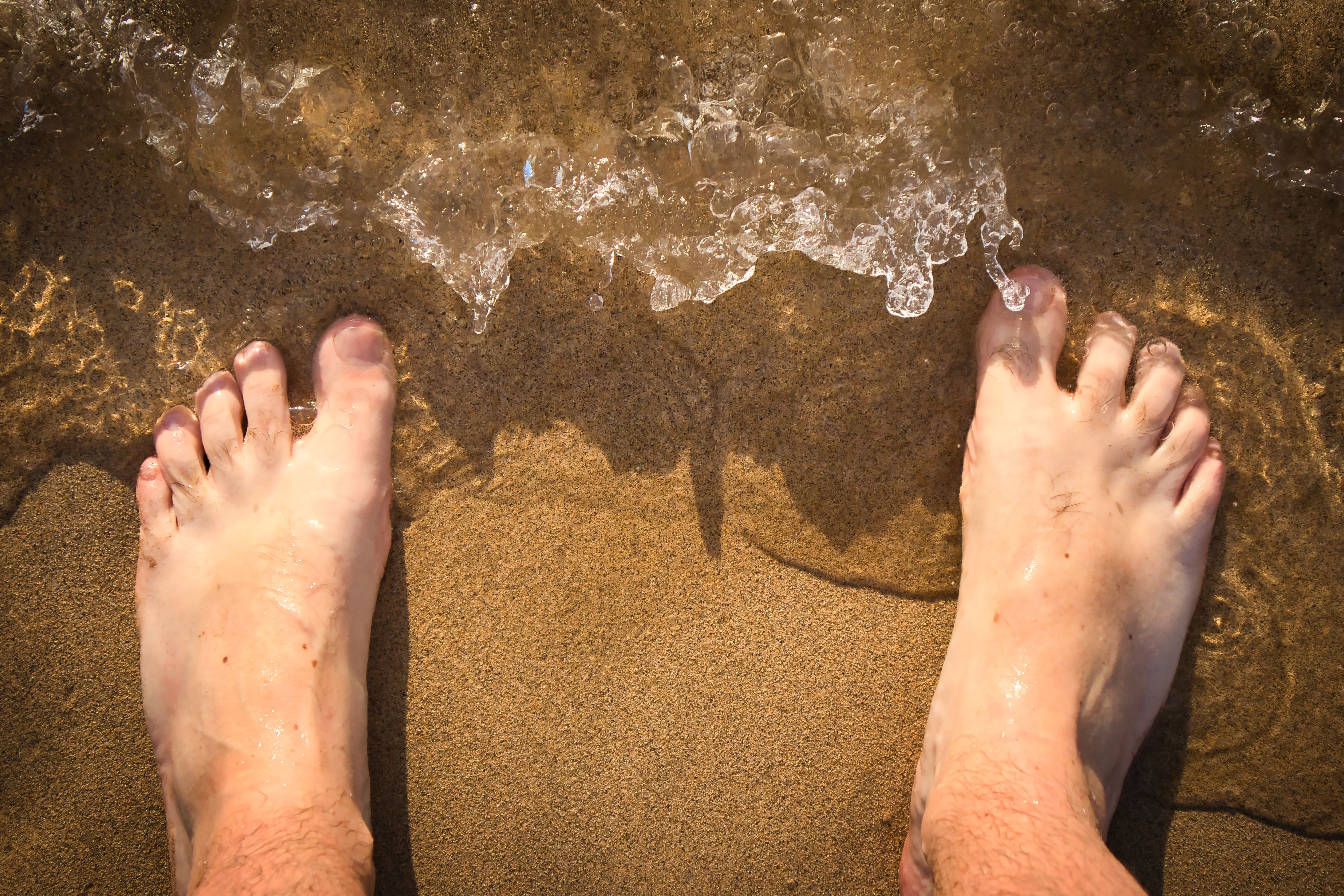 Keely Hodgkinson Feet Photos, Download The BEST Free Keely Hodgkinson ...