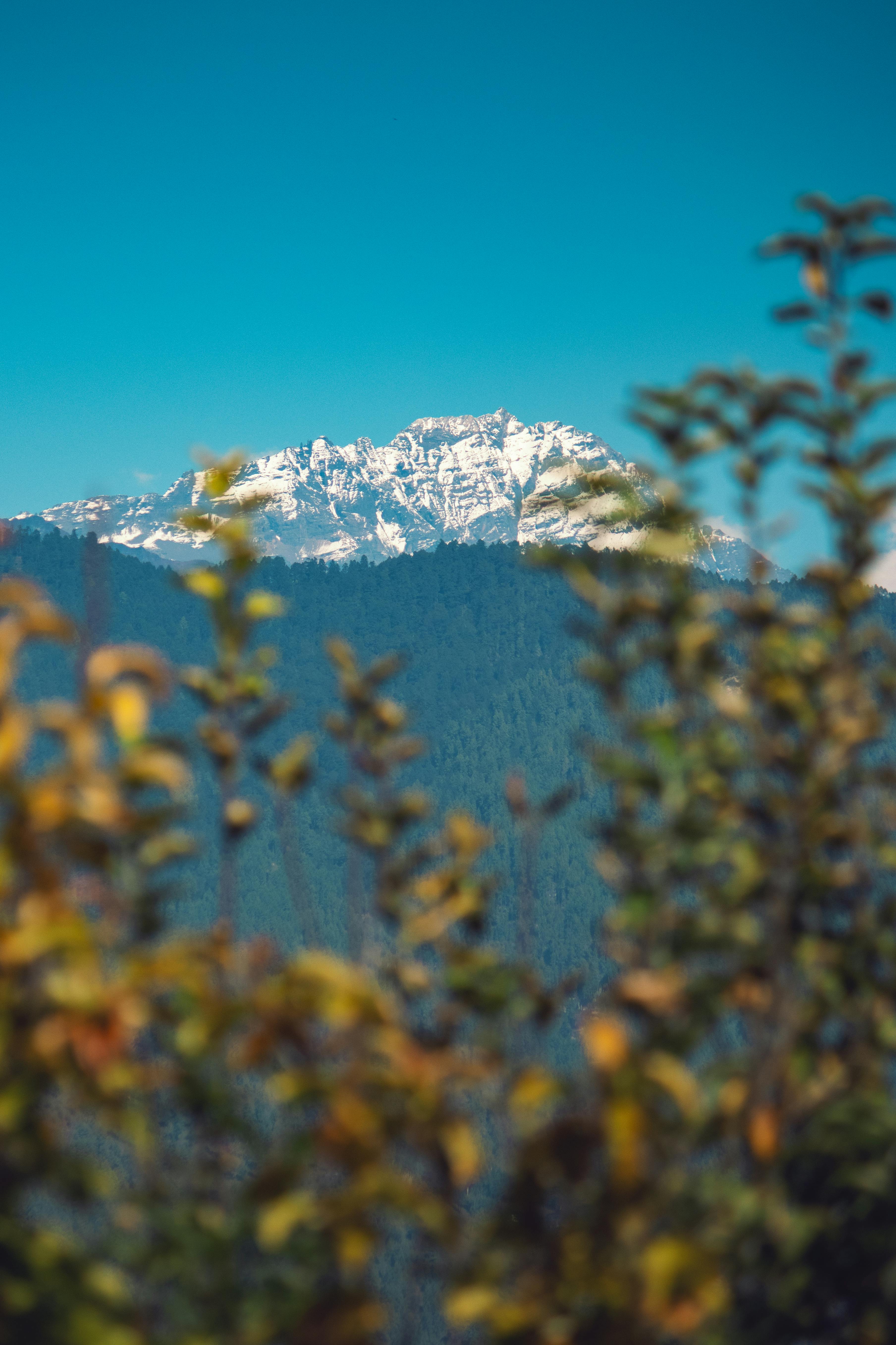 Pegunungan Bersalju Di Bhutan Dengan Latar Depan Yang Semarak · Foto ...