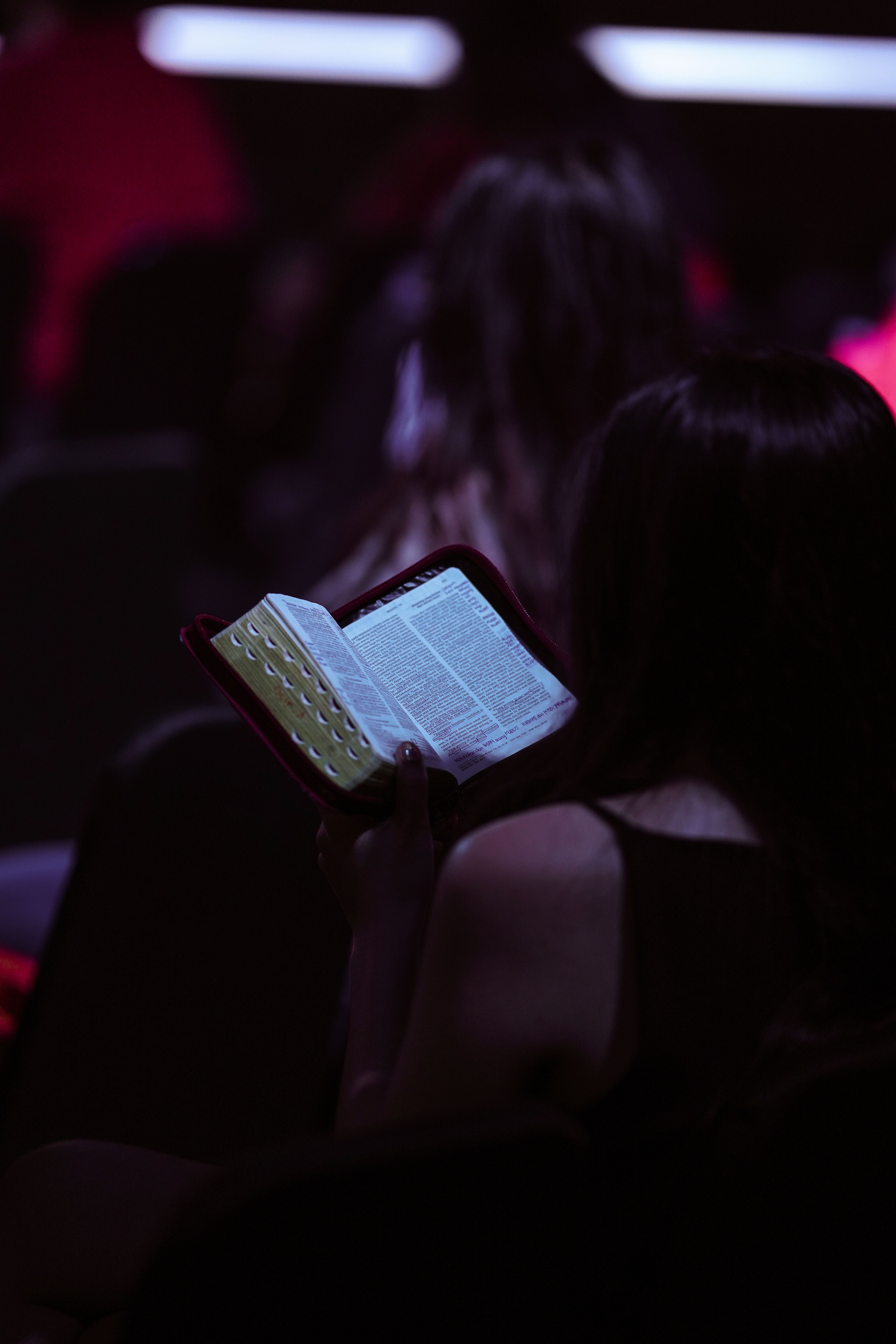 Young Woman Reading a Book in Dimly Lit Room · Free Stock Photo