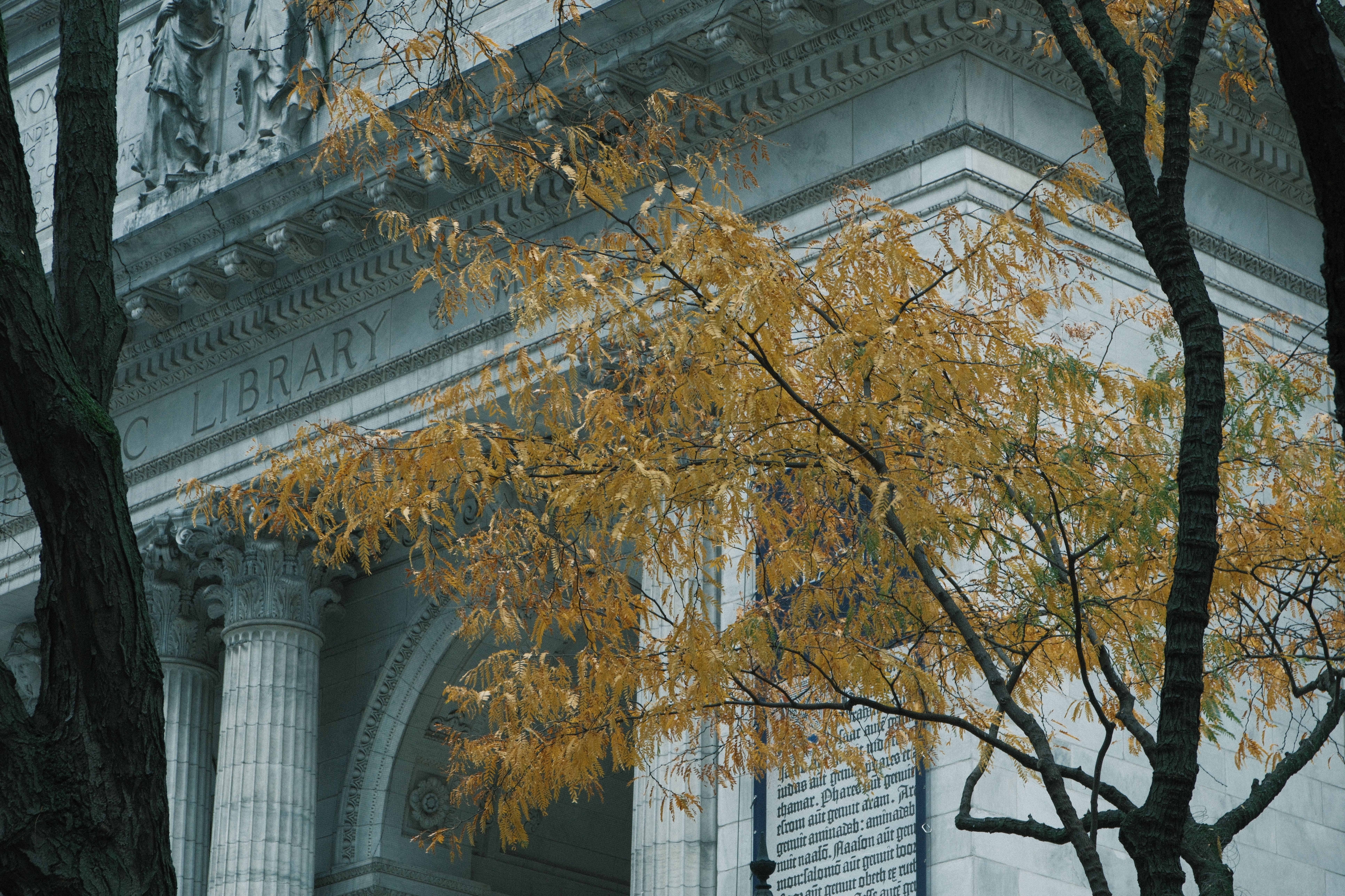 New+York+Public+Library+Main+Branch Photos, Download The BEST Free New ...