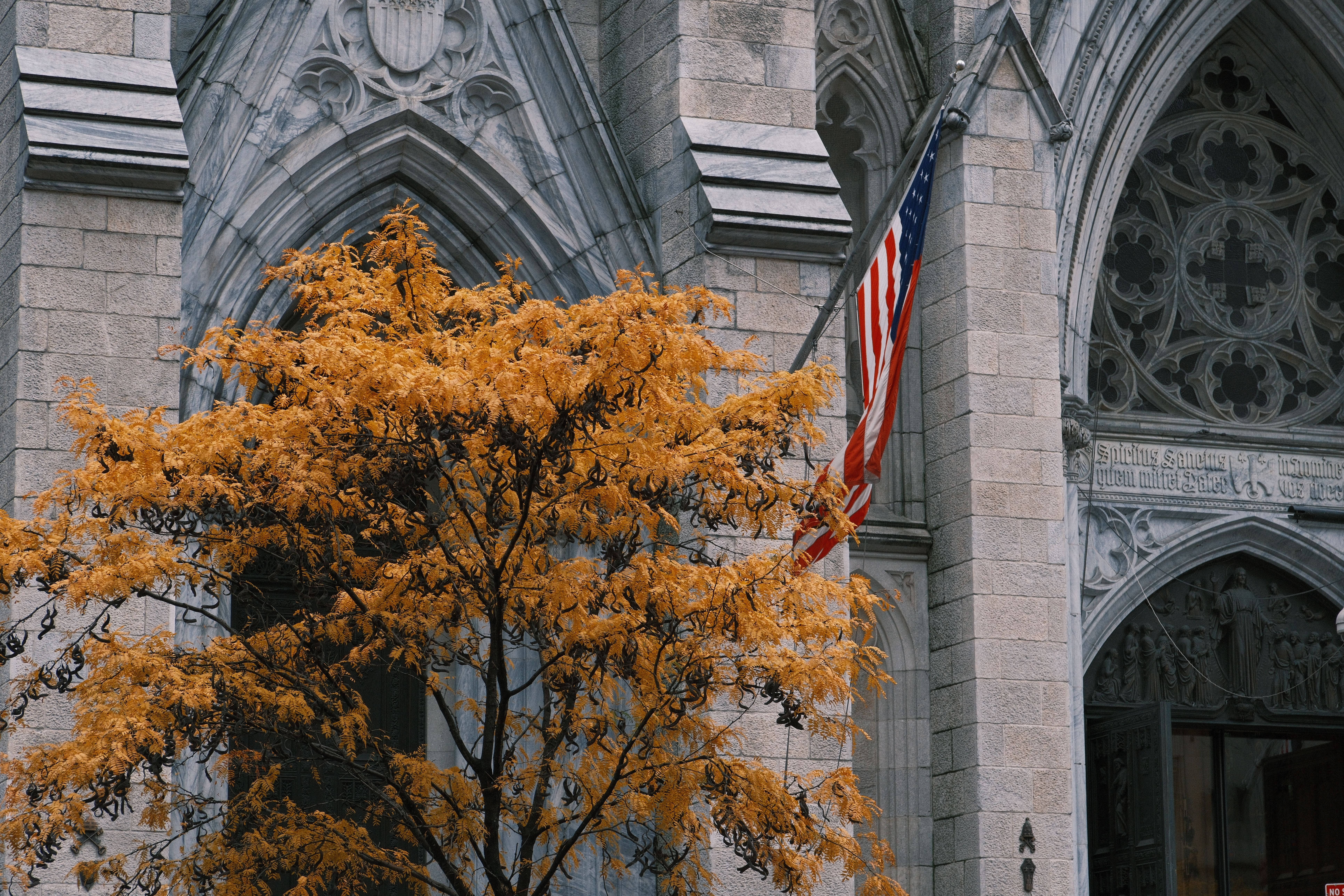 Gothic Architecture and Autumn Tree in New York · Free Stock Photo