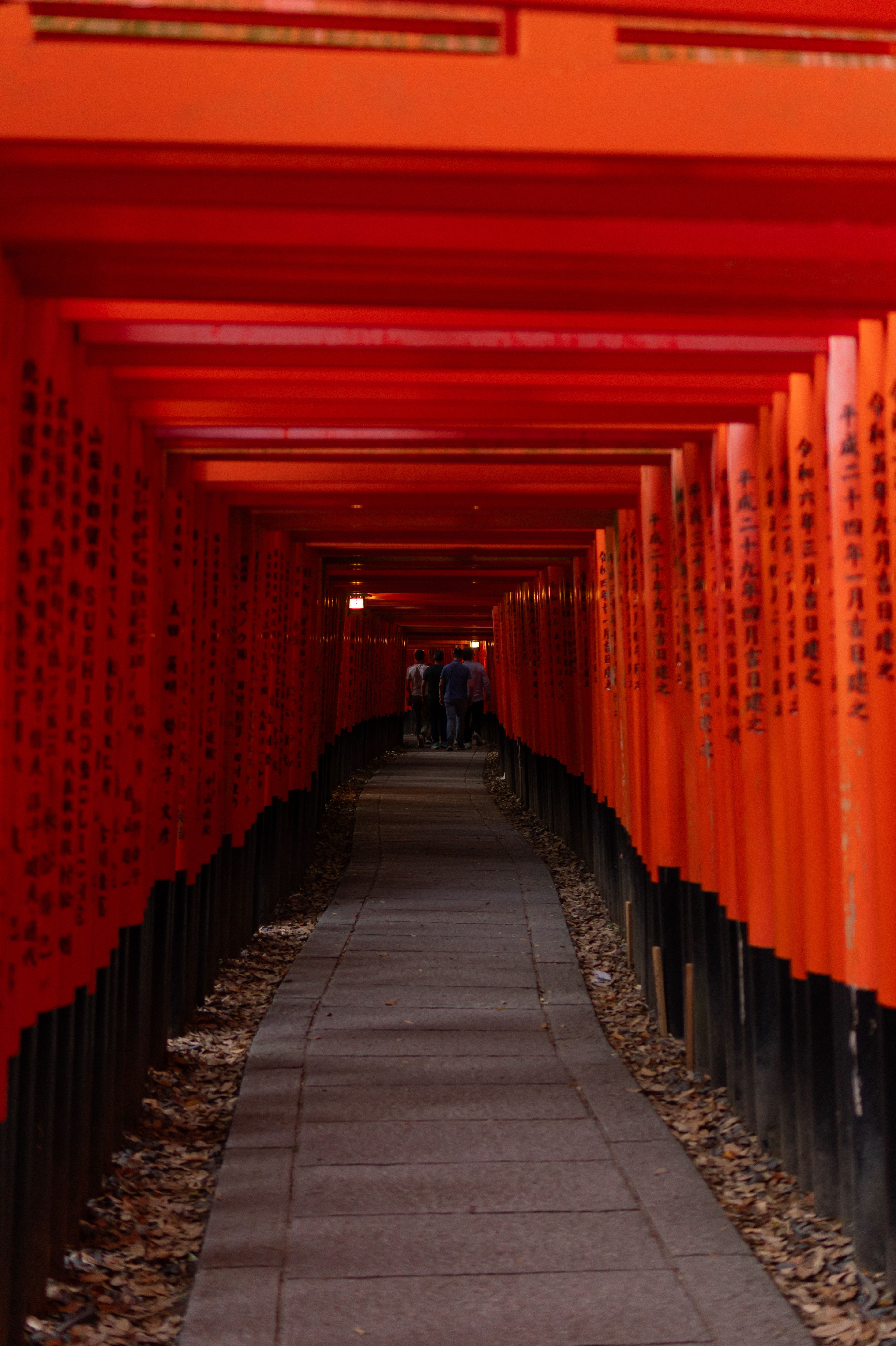 Minimal Black &White Japanese Torii Gate 4k Wallpaper Photos, Download ...