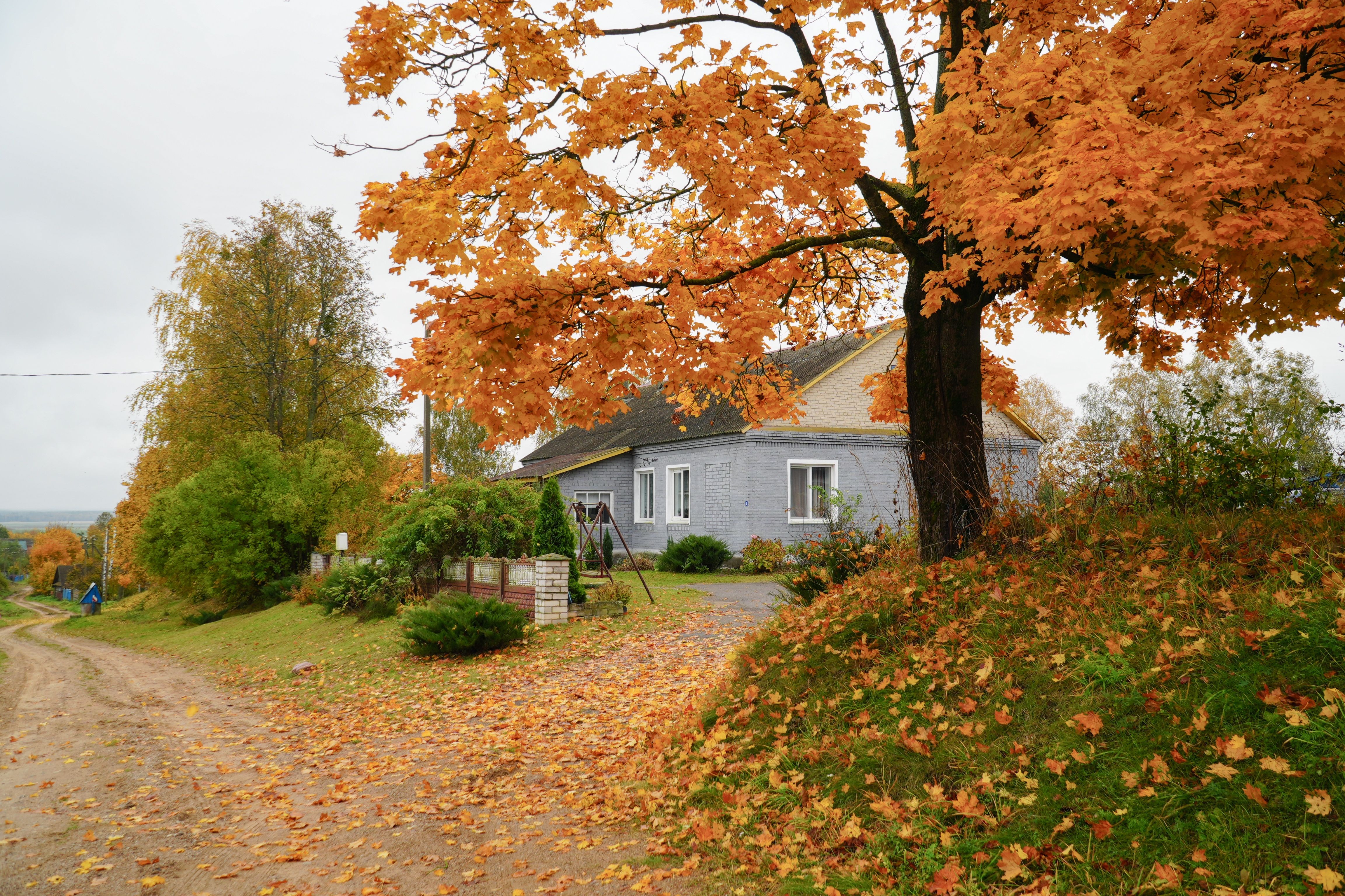 Automn House Photos, Download The BEST Free Automn House Stock Photos ...