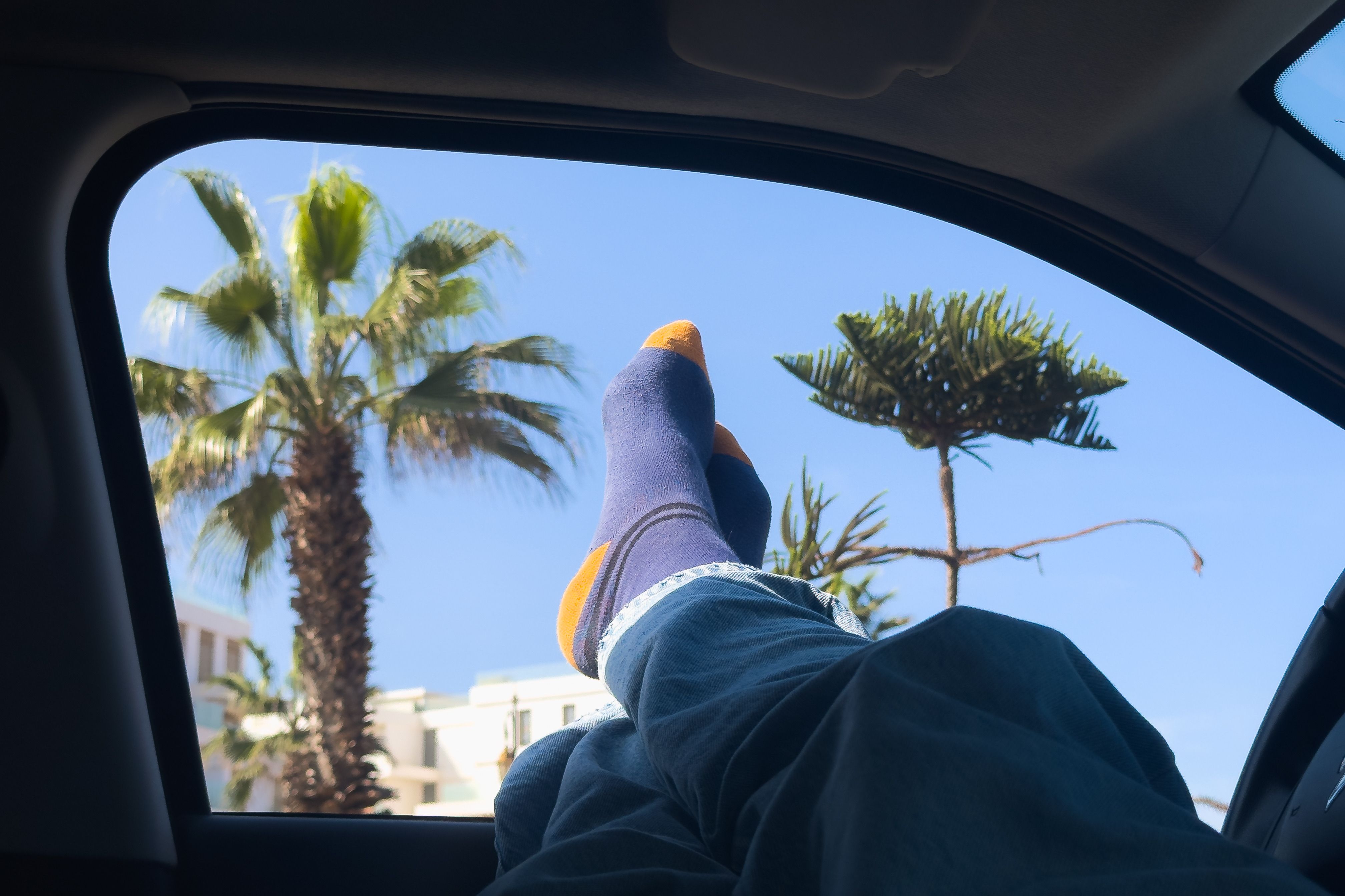 Relaxing in Car with Palm Tree View · meta.free_stock.photo