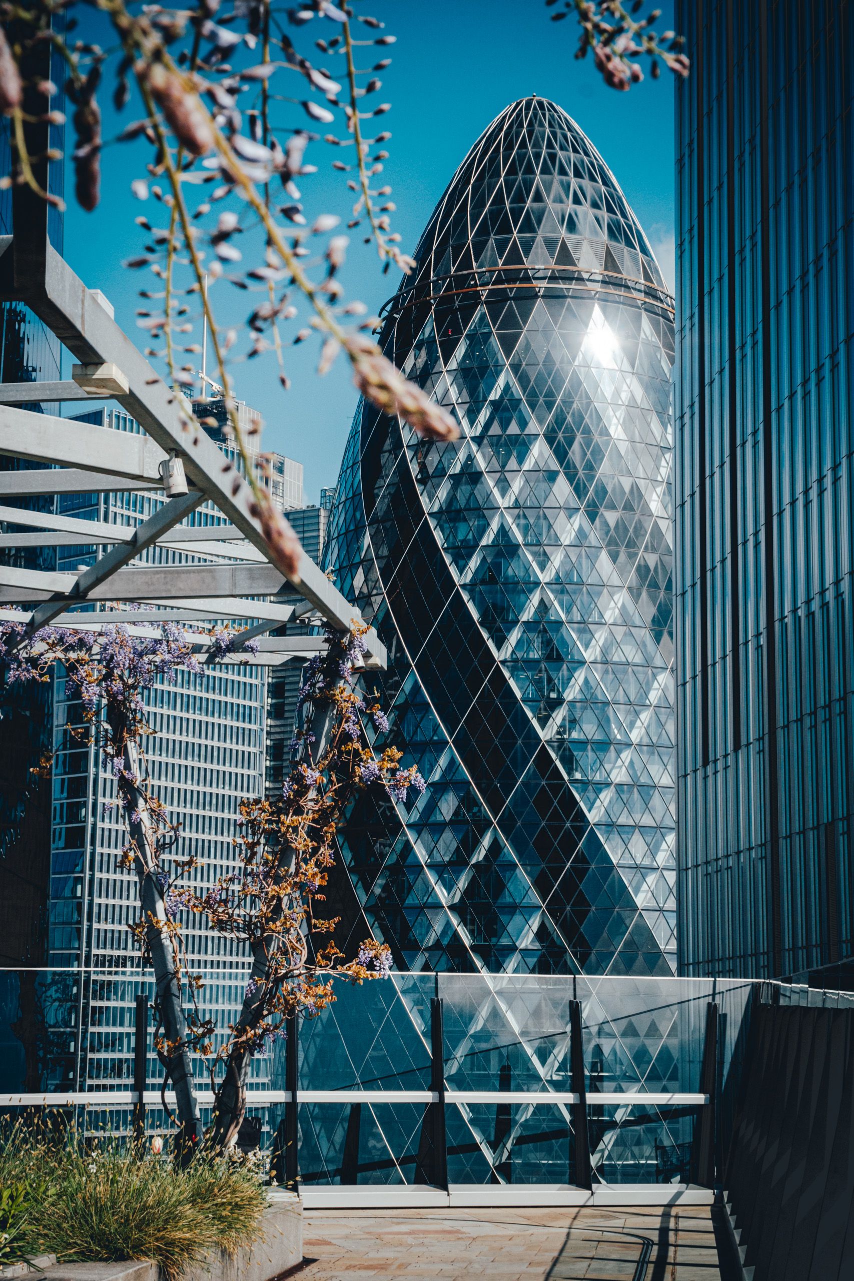 Stunning View of The Gherkin in London with Floral Foreground · Free ...