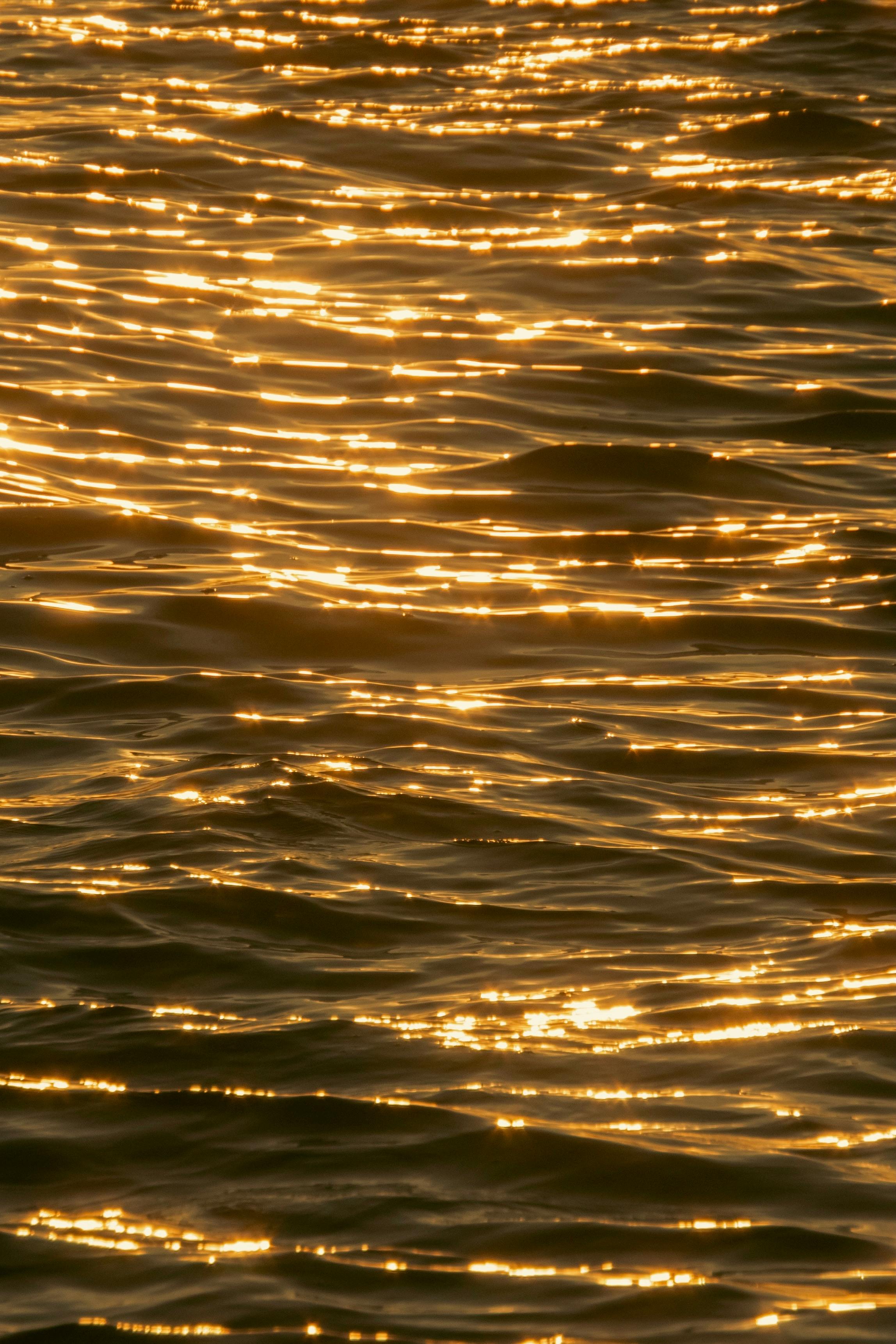 Photos+Of+Office Photos, Download The BEST Free Photos+Of+Office Stock ...