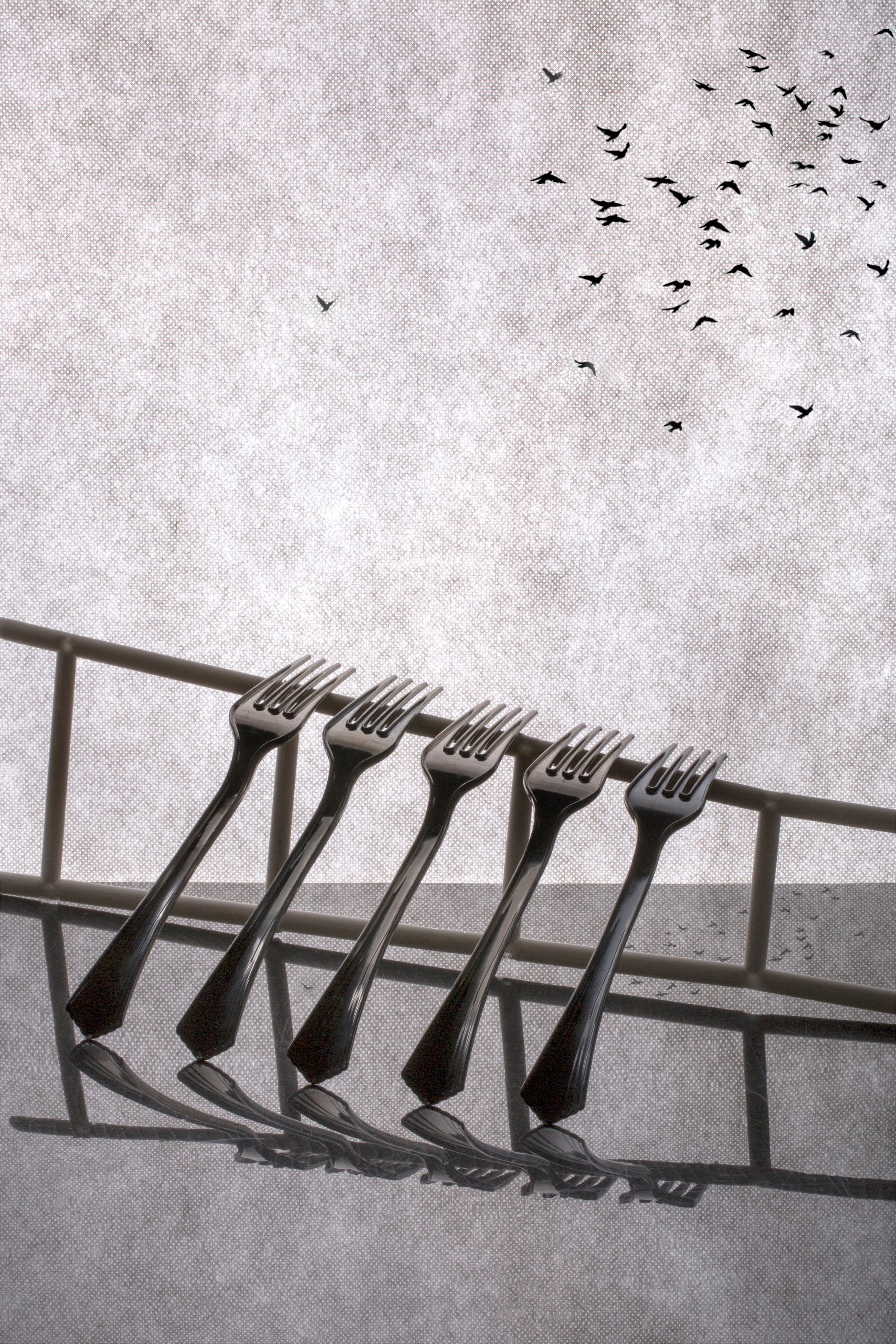 Abstract Composition of Forks with Birds · Free Stock Photo