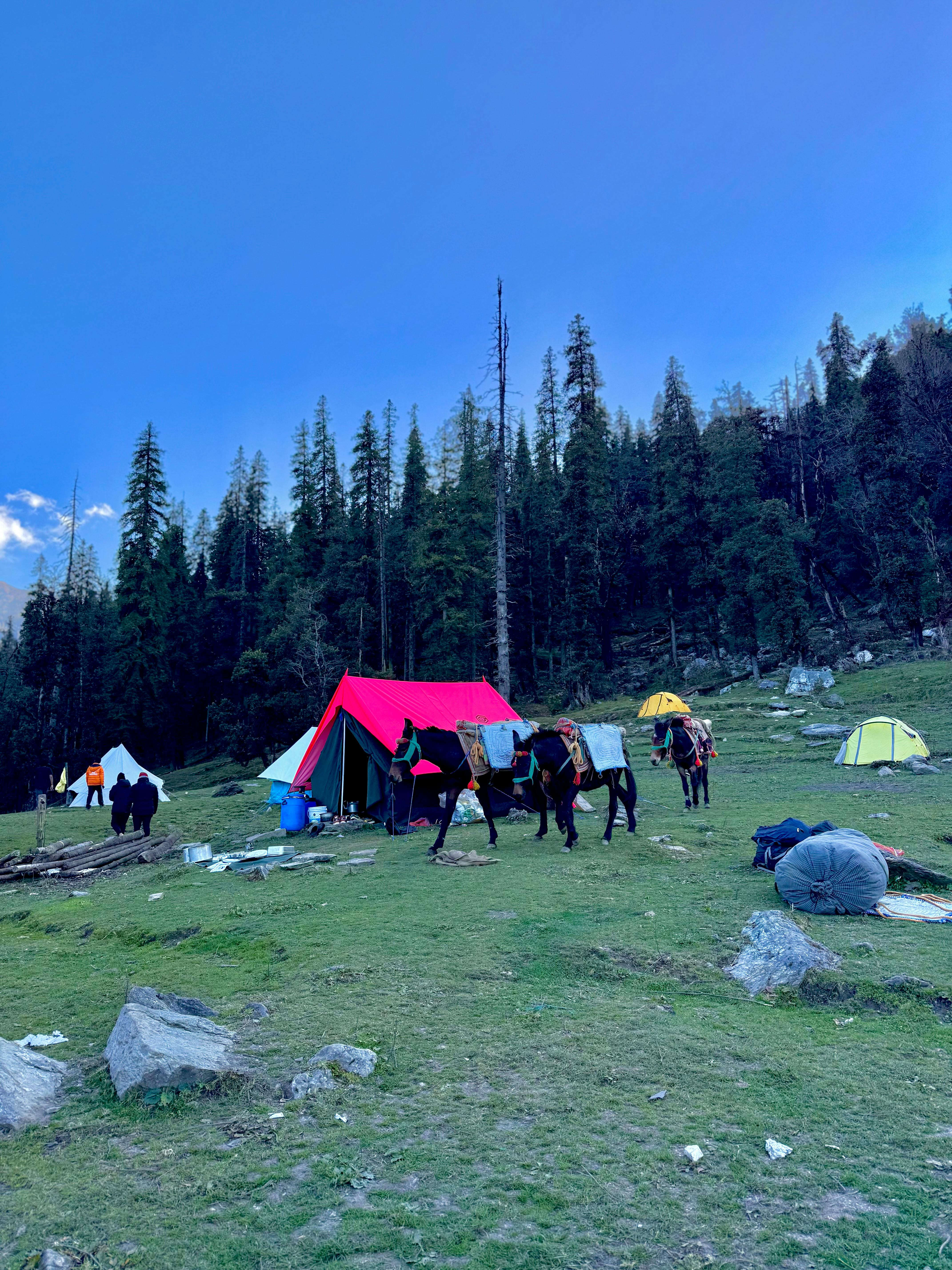 1 000 000+ najlepszych zdjęć z kategorii: Other-galleries-about ...