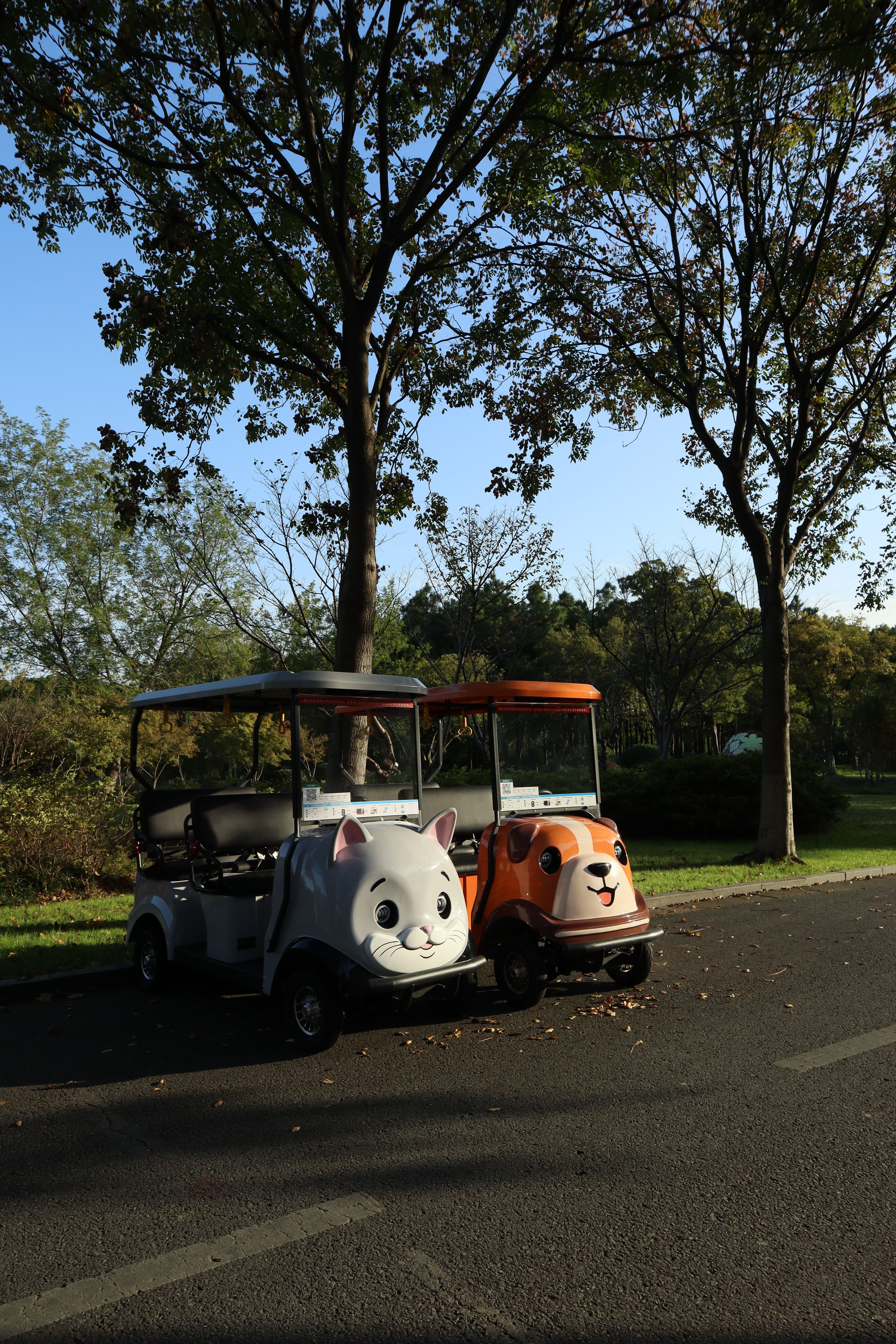 Cute Animal-Themed Golf Carts in Scenic Park · Free Stock Photo