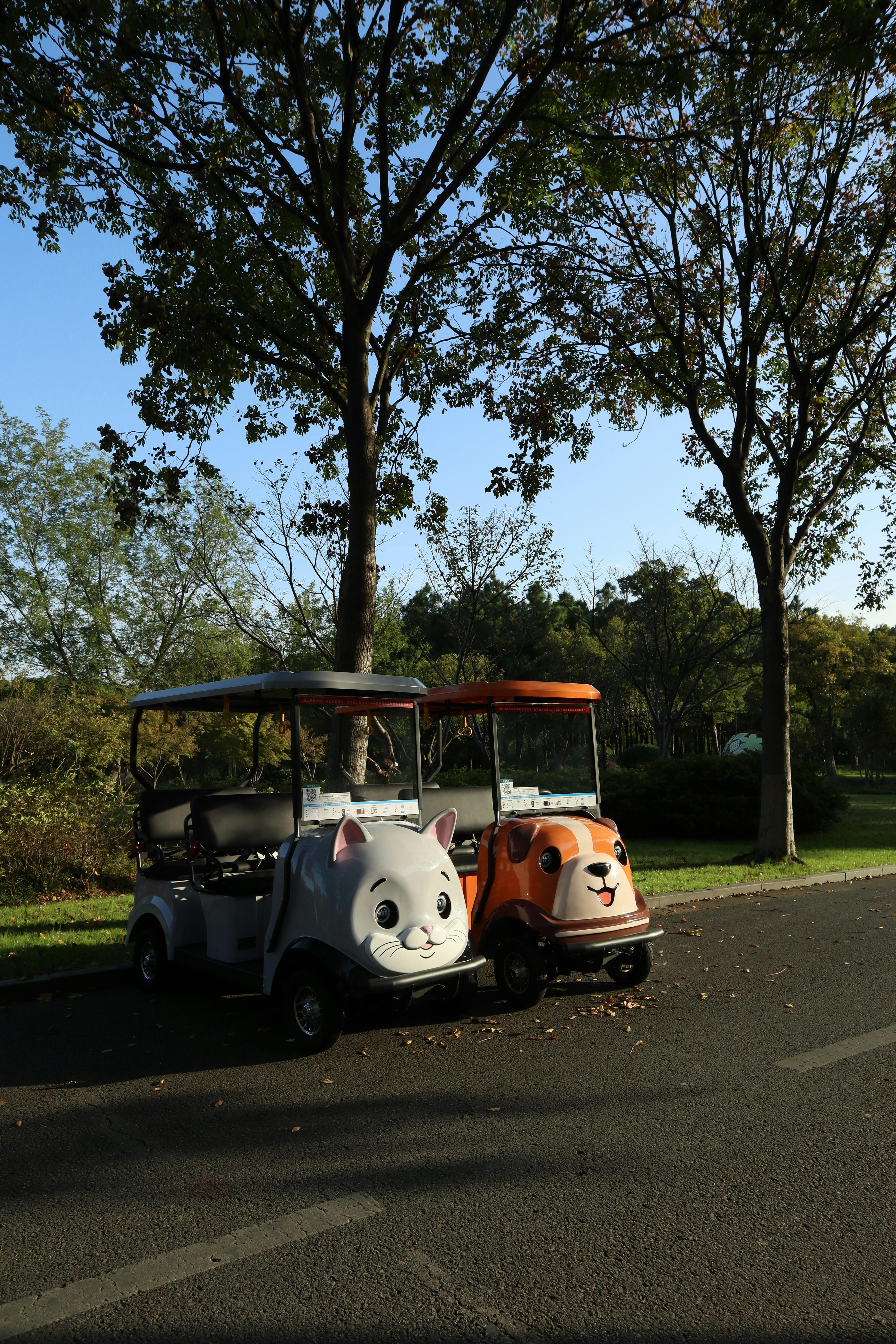 Animated Chef Cartoon Photos, Download The BEST Free Animated Chef ...