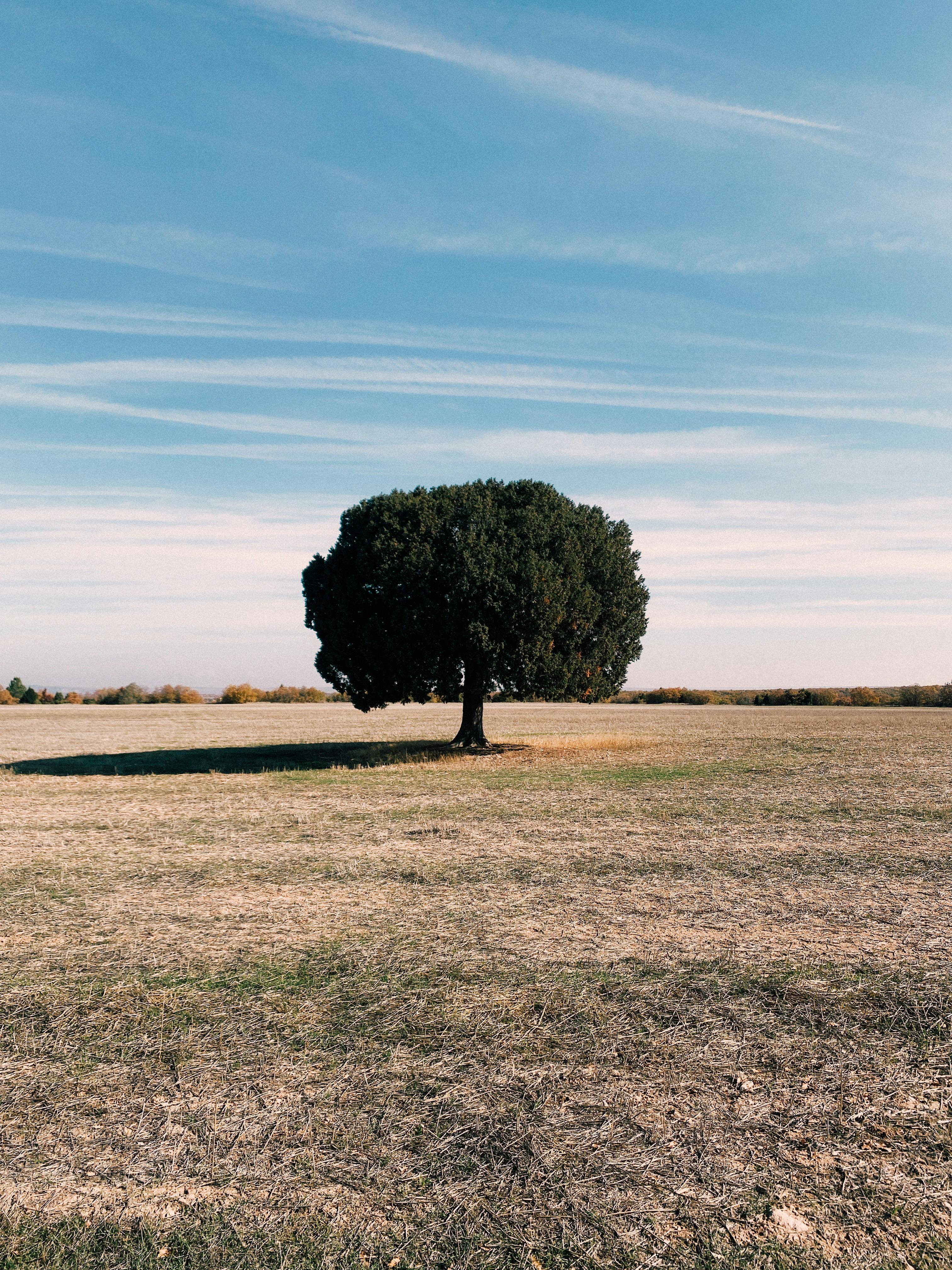 1 000 000+ najlepszych zdjęć z kategorii: Other-galleries-about ...