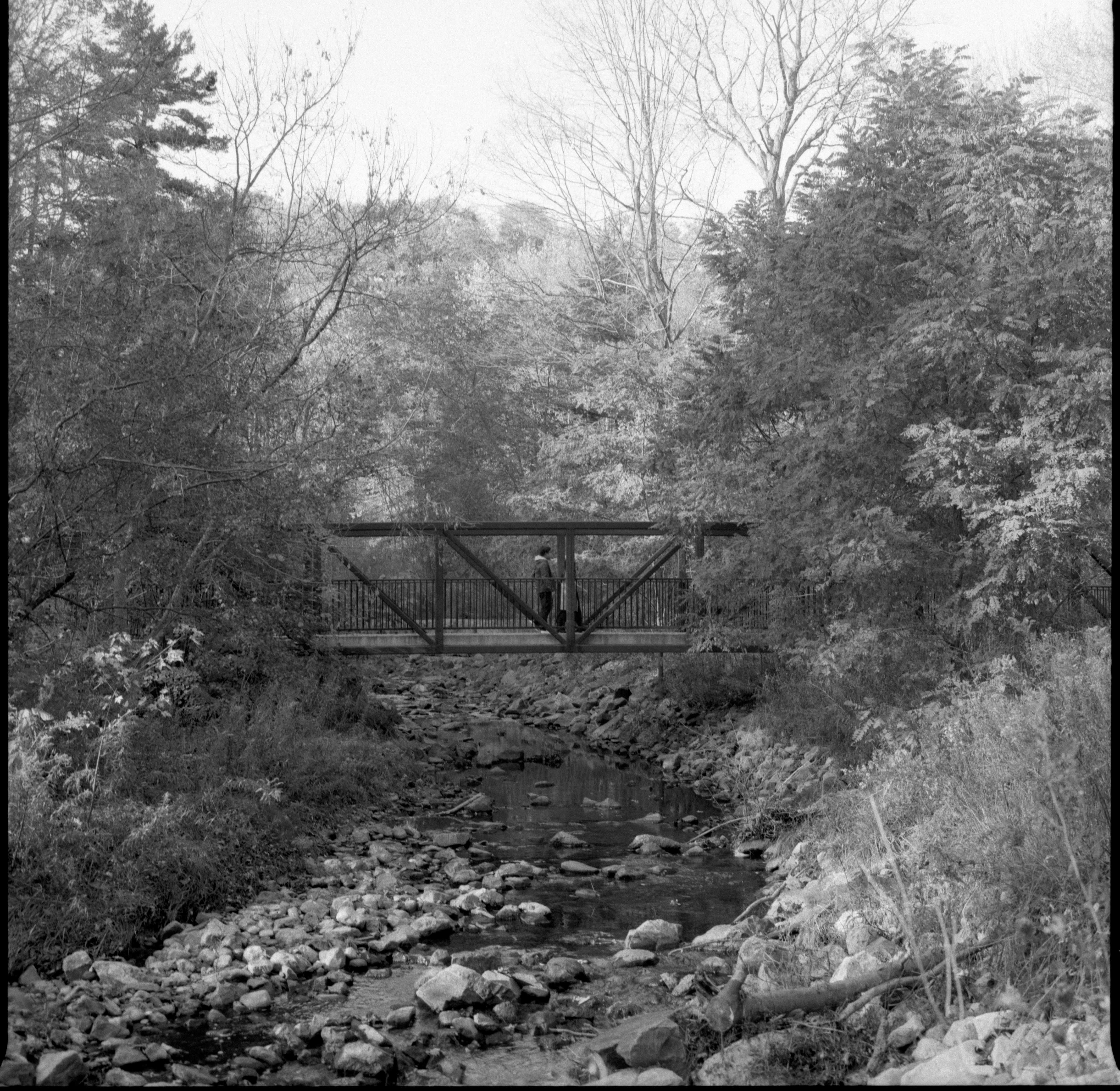 100.000+ What-is-heif-image-file-format Bilder und Fotos · Kostenlos ...