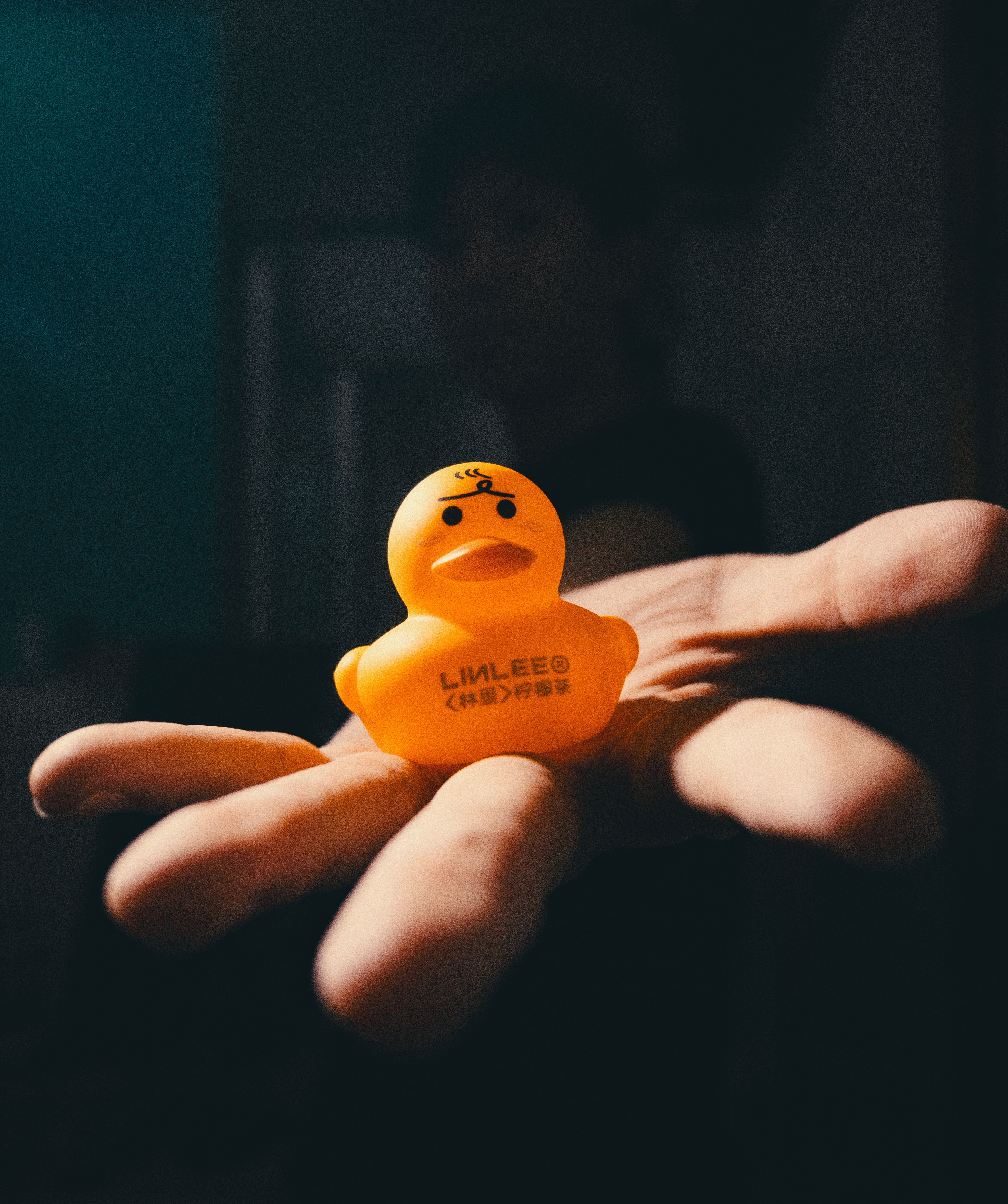 Qwack Quack Photos, Download The BEST Free Qwack Quack Stock Photos ...