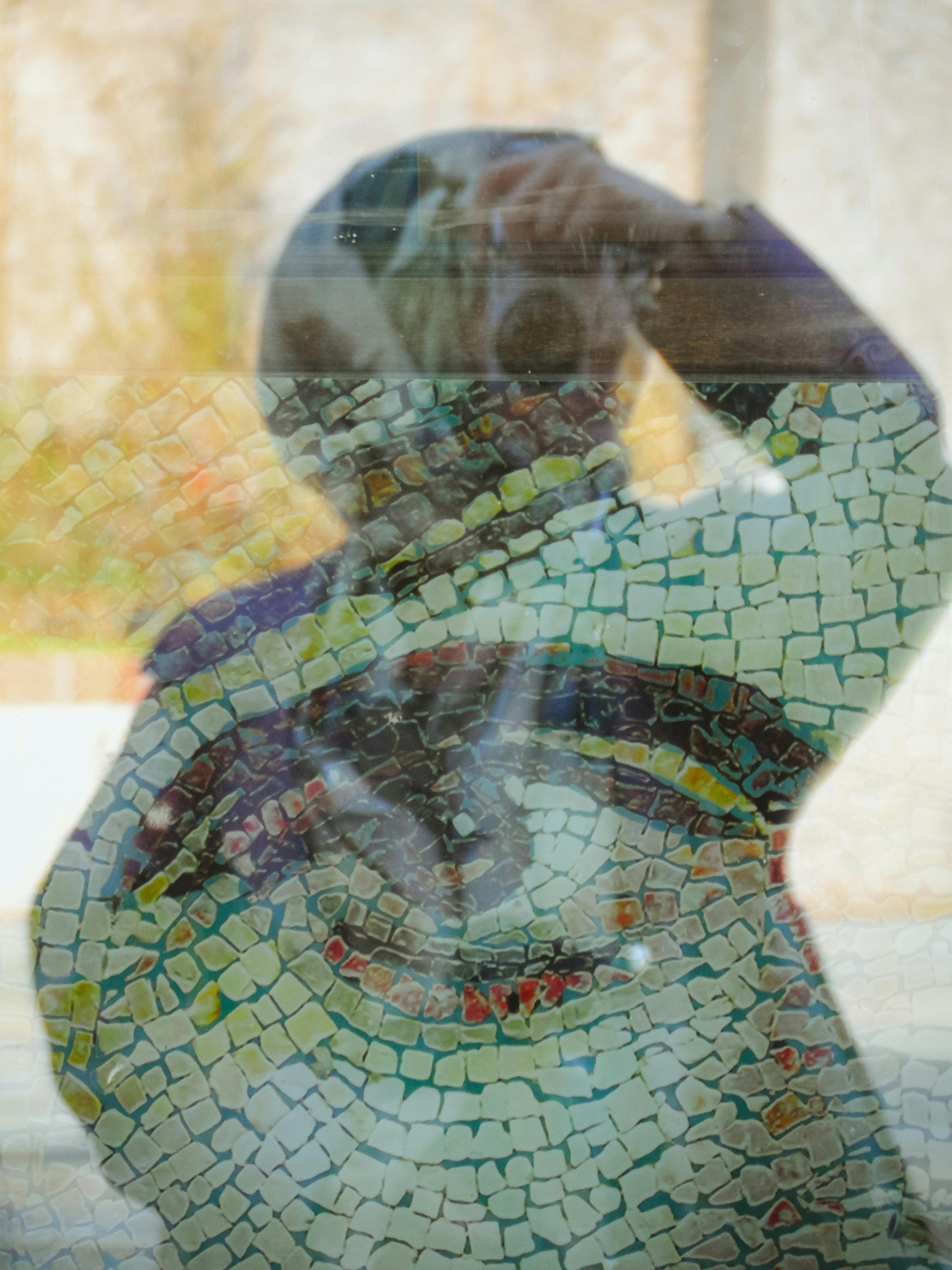 Artistic Reflection with Vibrant Mosaic Overlay · Free Stock Photo