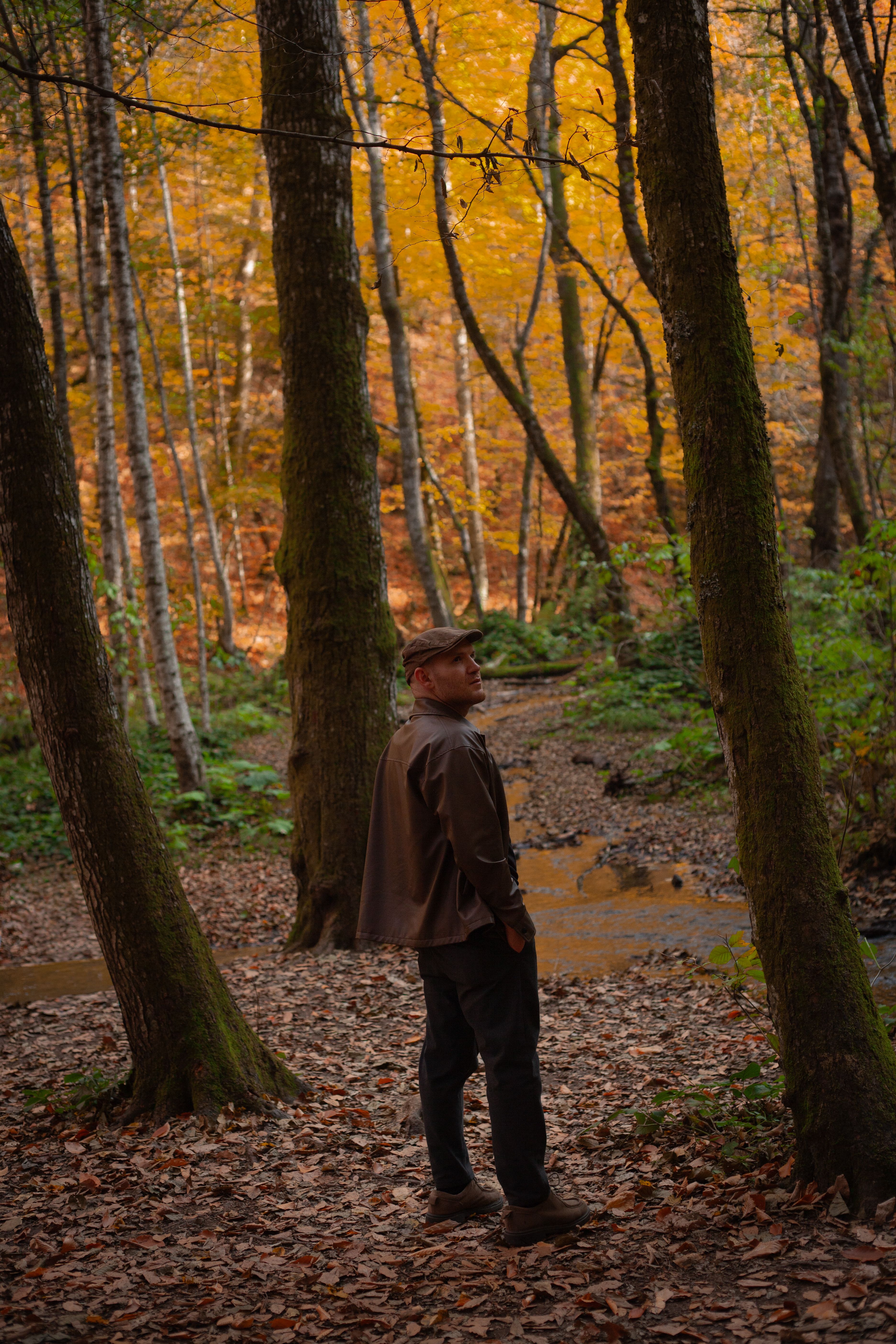 Woods Path Stream Autumn Photos, Download The BEST Free Woods Path ...