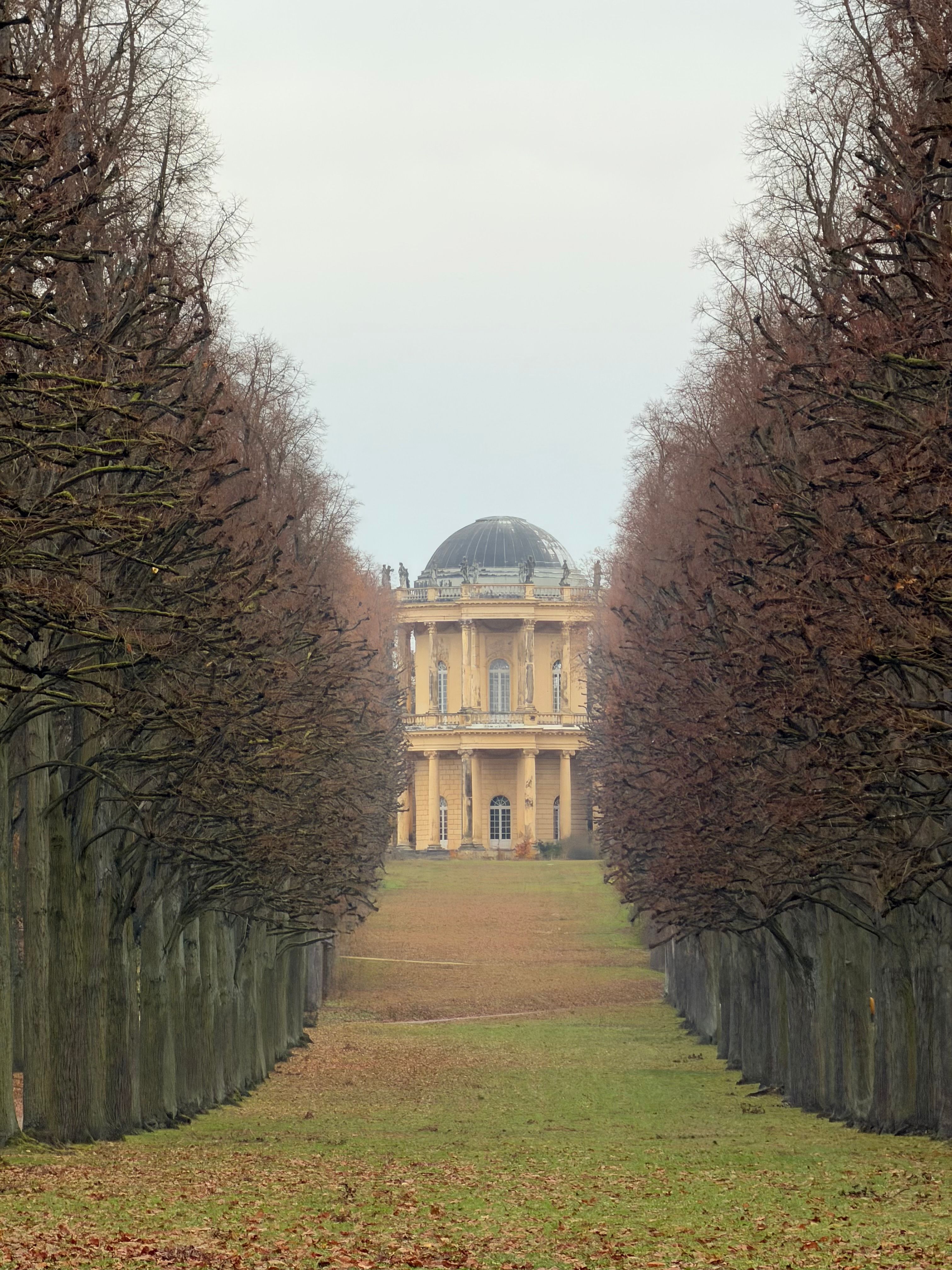 Historic Building Framed by Symmetrical Trees in Autumn · Free Stock Photo