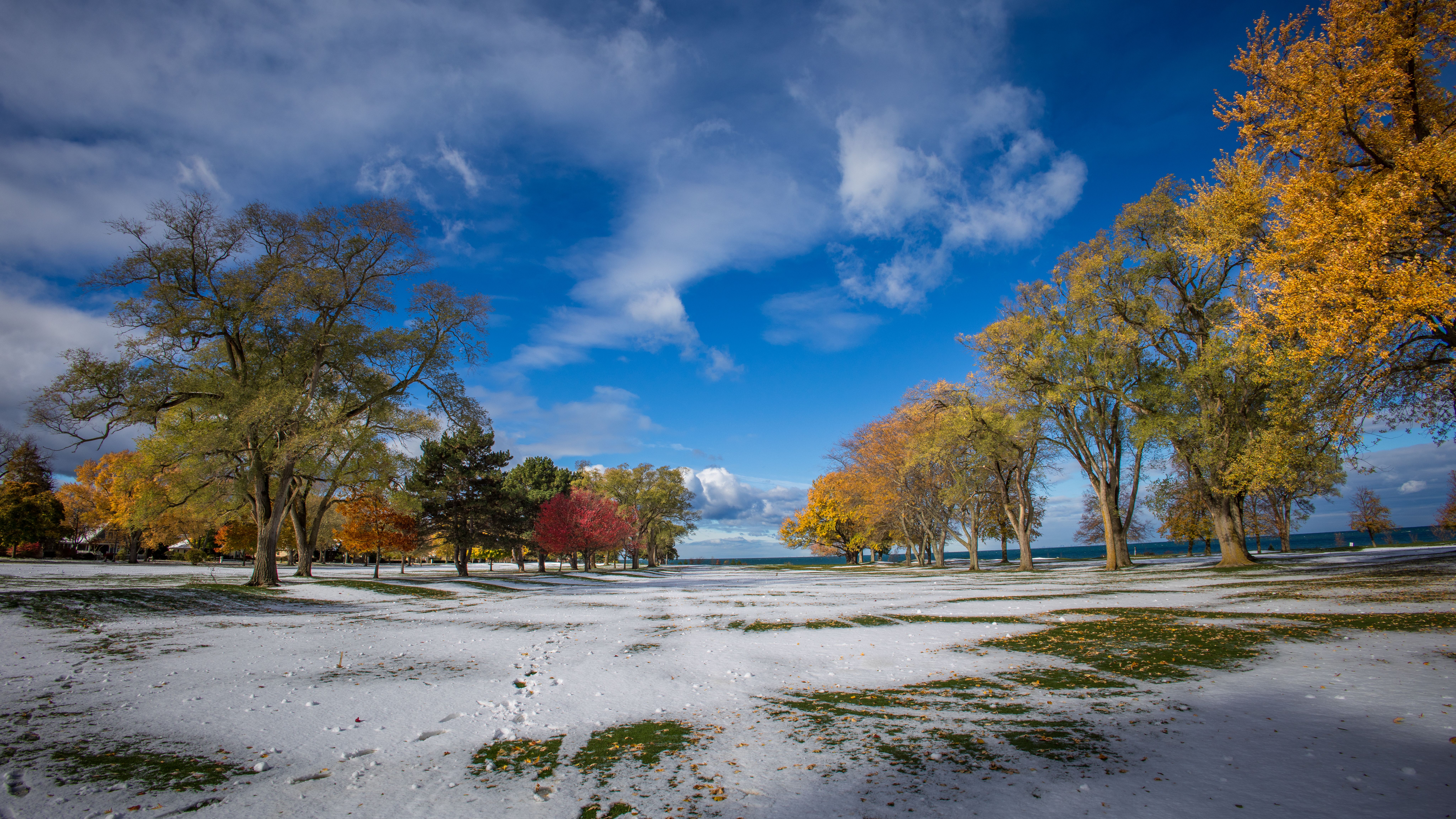 Vibrant Autumn Park with Early Snowfall · Free Stock Photo