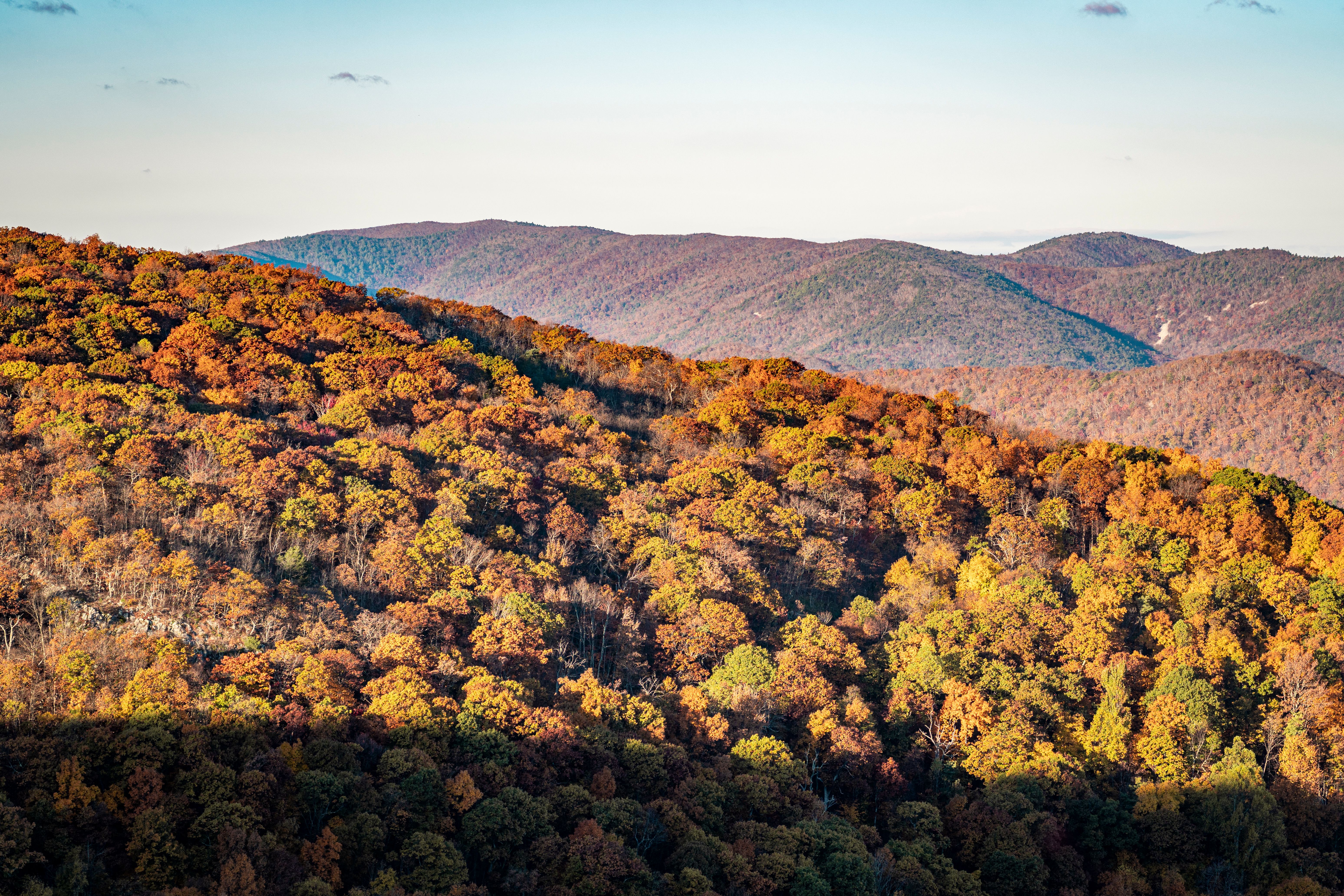 Autumn Colors in Mountainous Landscape · Free Stock Photo