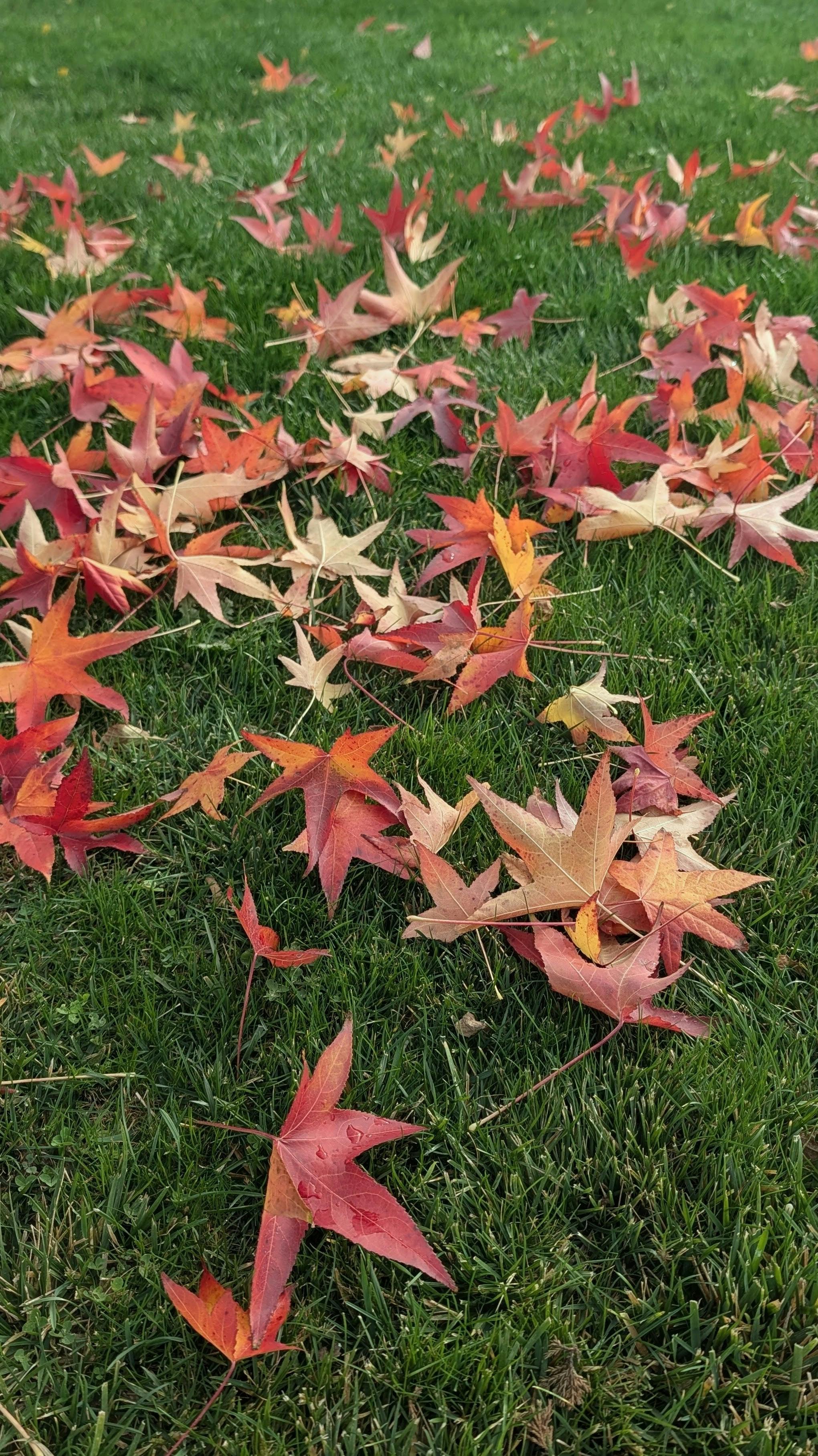 Deyan Panayotov - Photography