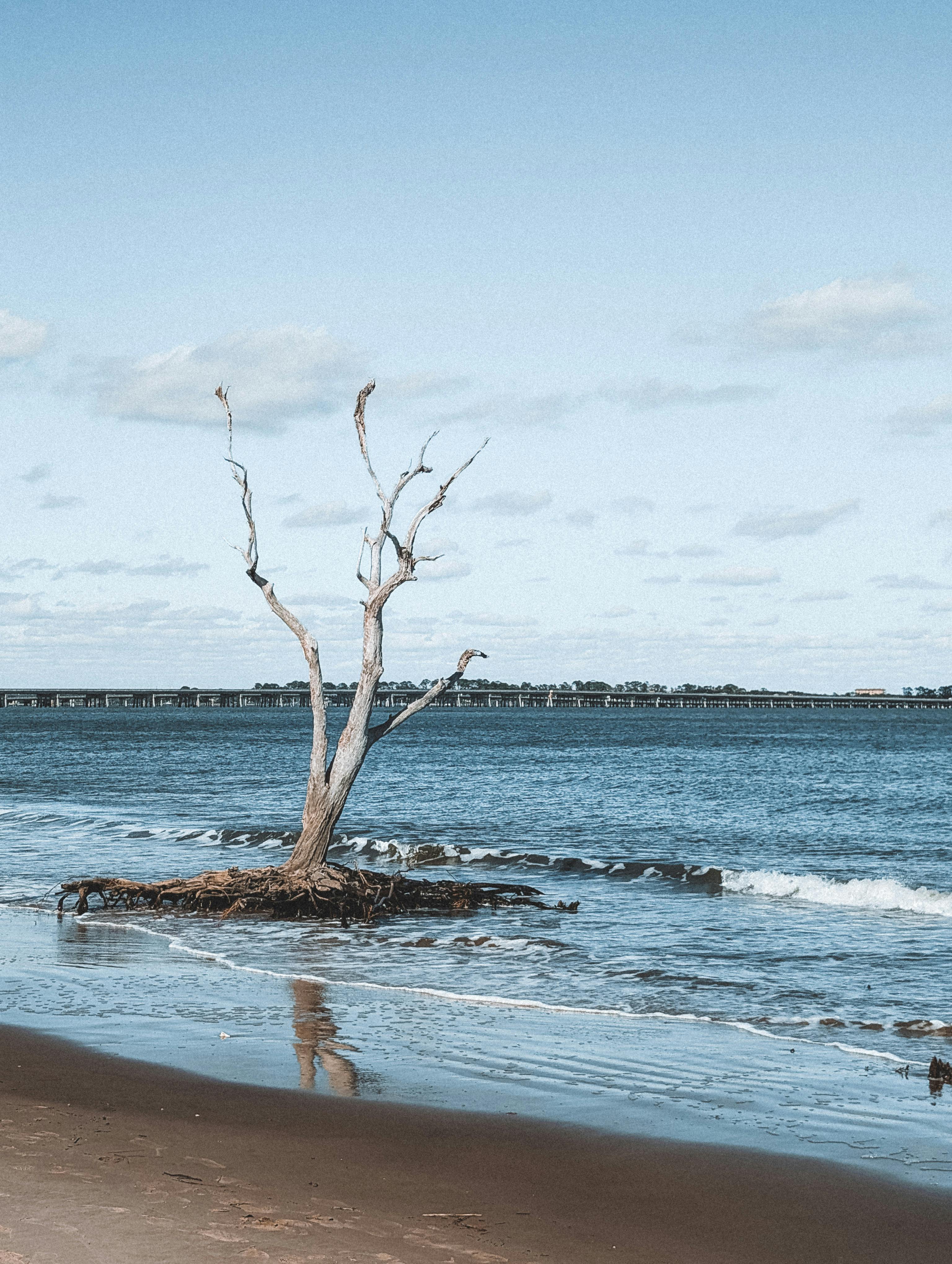 80.000+ The-telegraph-best-of-the-best Bilder und Fotos · Kostenlos ...