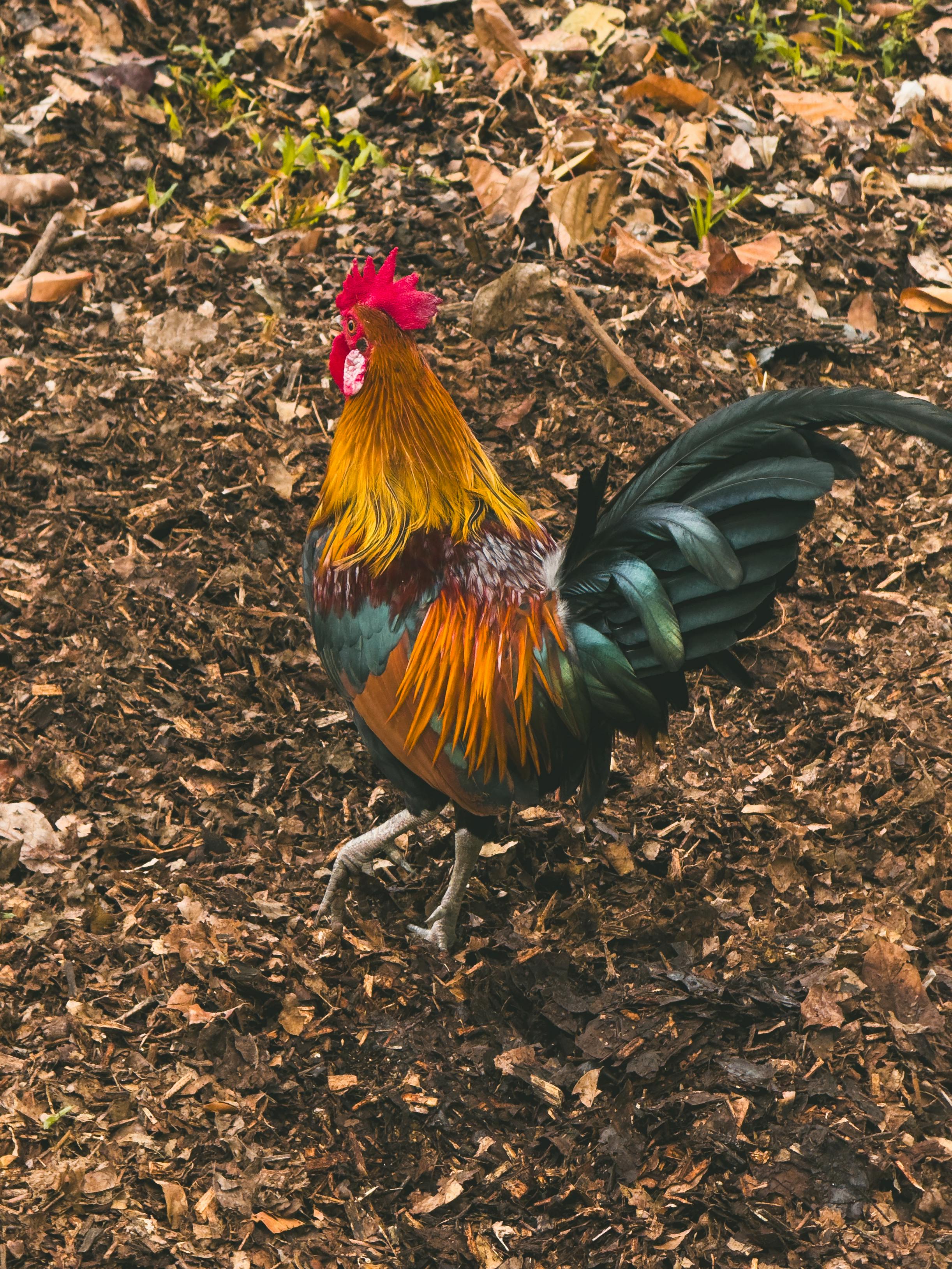 600.000+ melhores imagens de Step-up-for-students-private-school-list ...