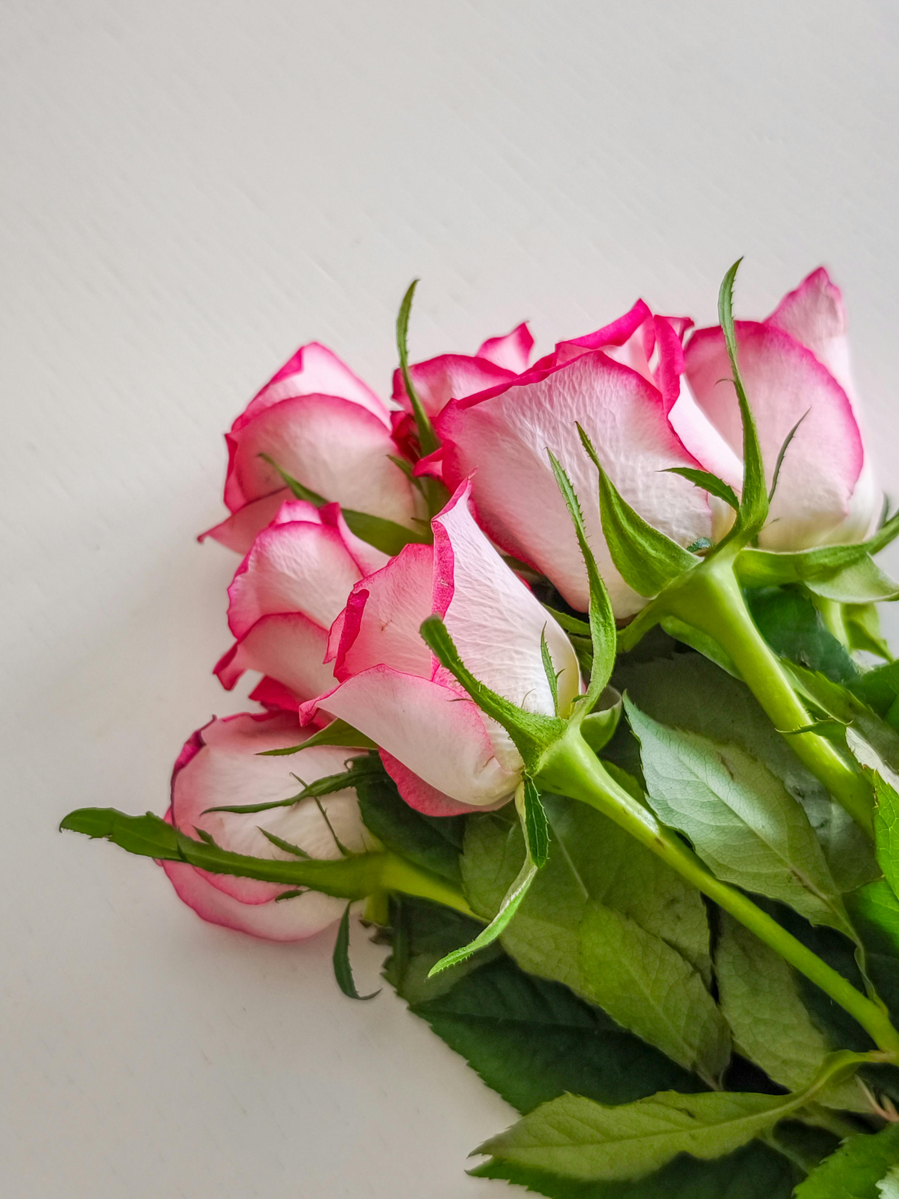 70.000+ 2025-card-ai-generated-premium-ai-generated-image Bilder und ...