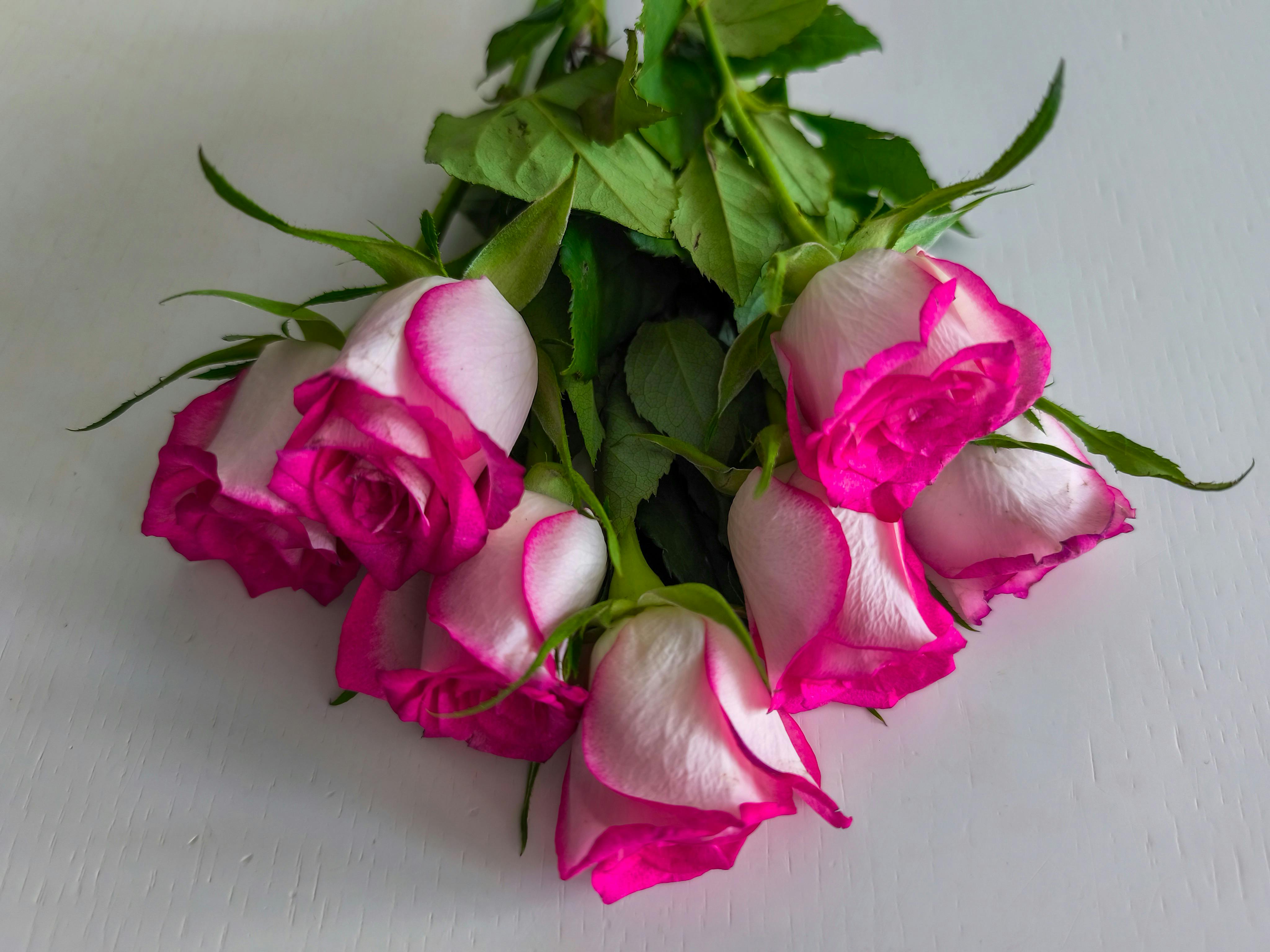 70.000+ 2025-card-ai-generated-premium-ai-generated-image Bilder und ...