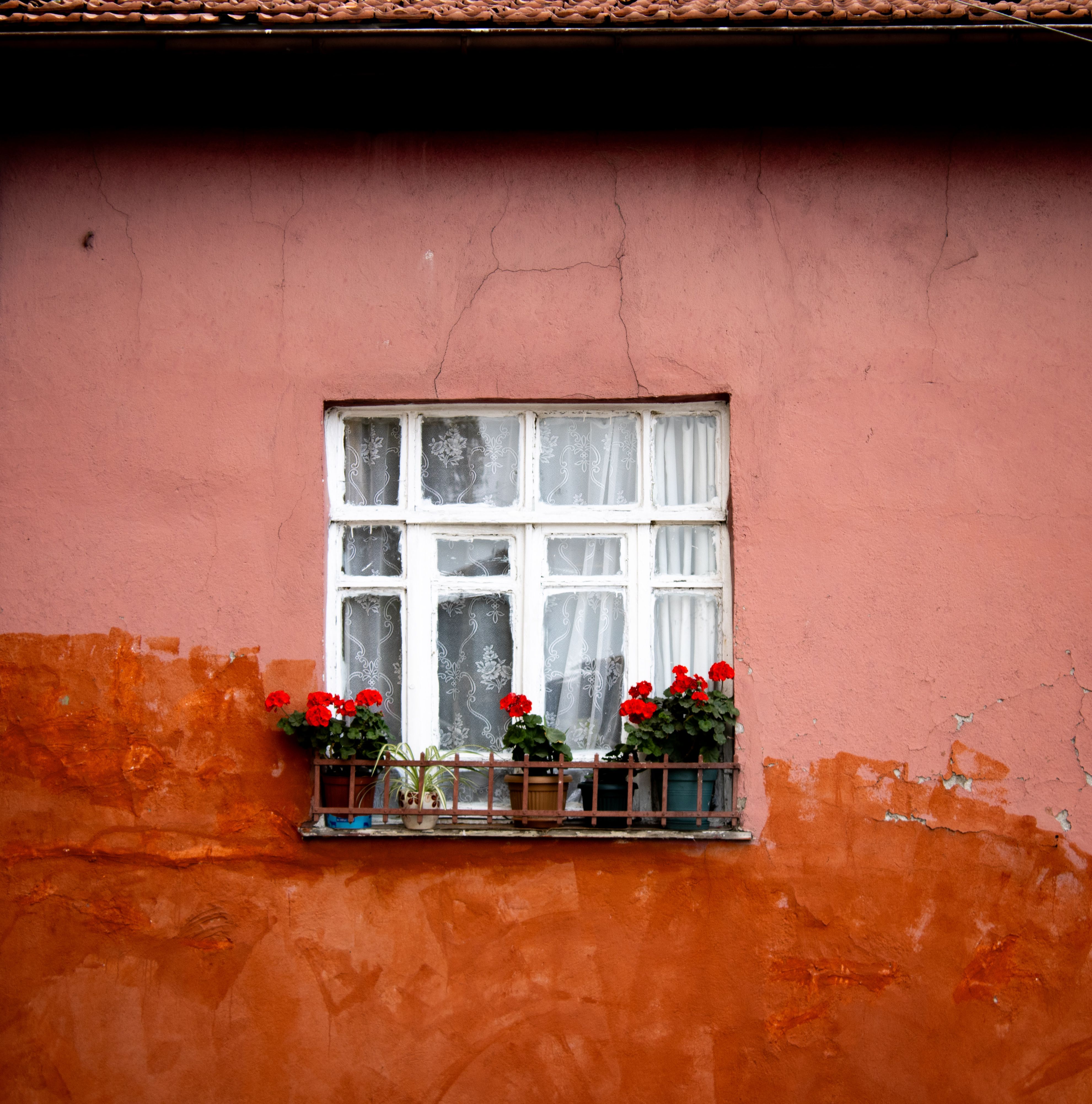 Old Windows Wallpapers 4 K Photos, Download The BEST Free Old Windows ...