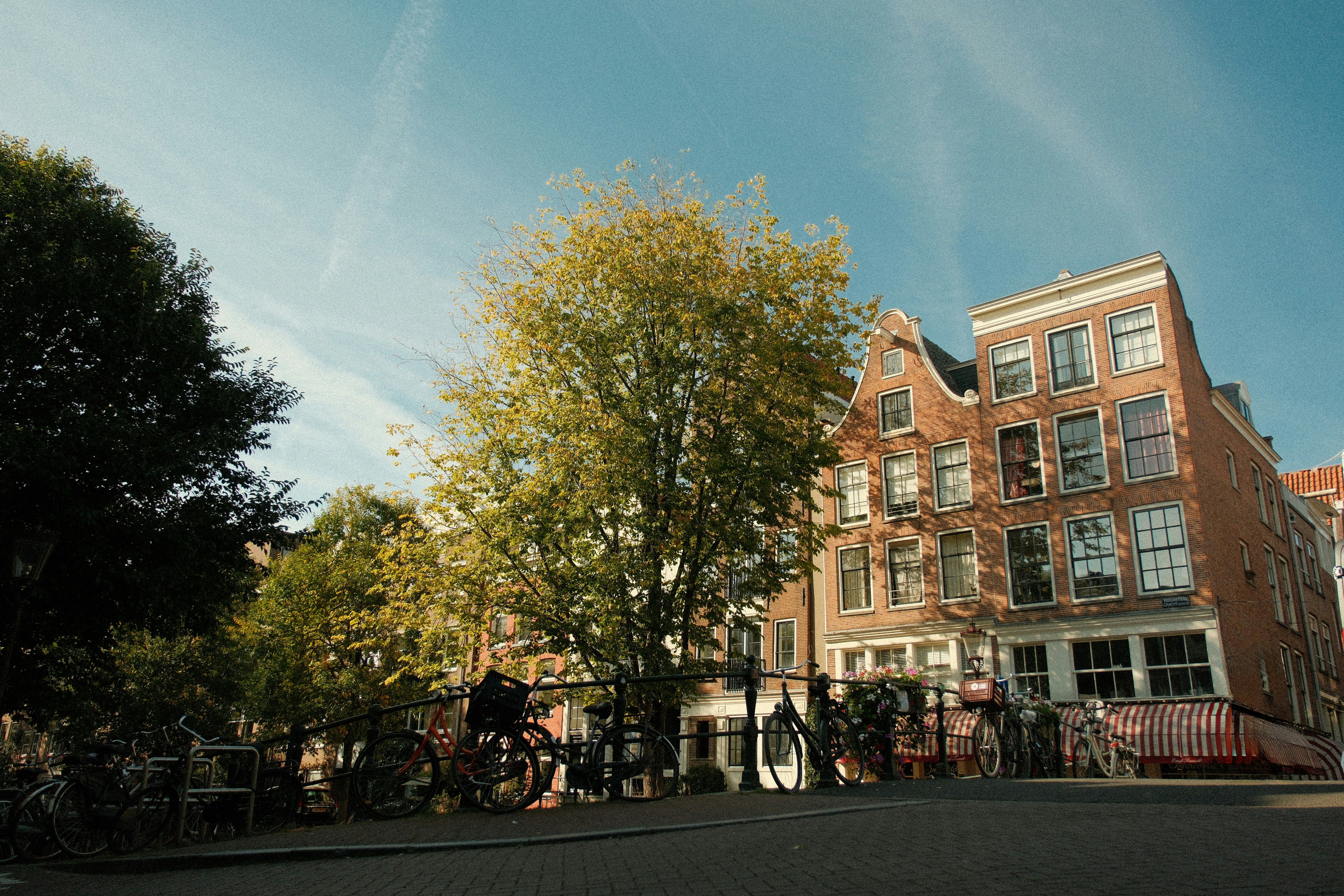 Charming Amsterdam Street in Autumn Light · Free Stock Photo