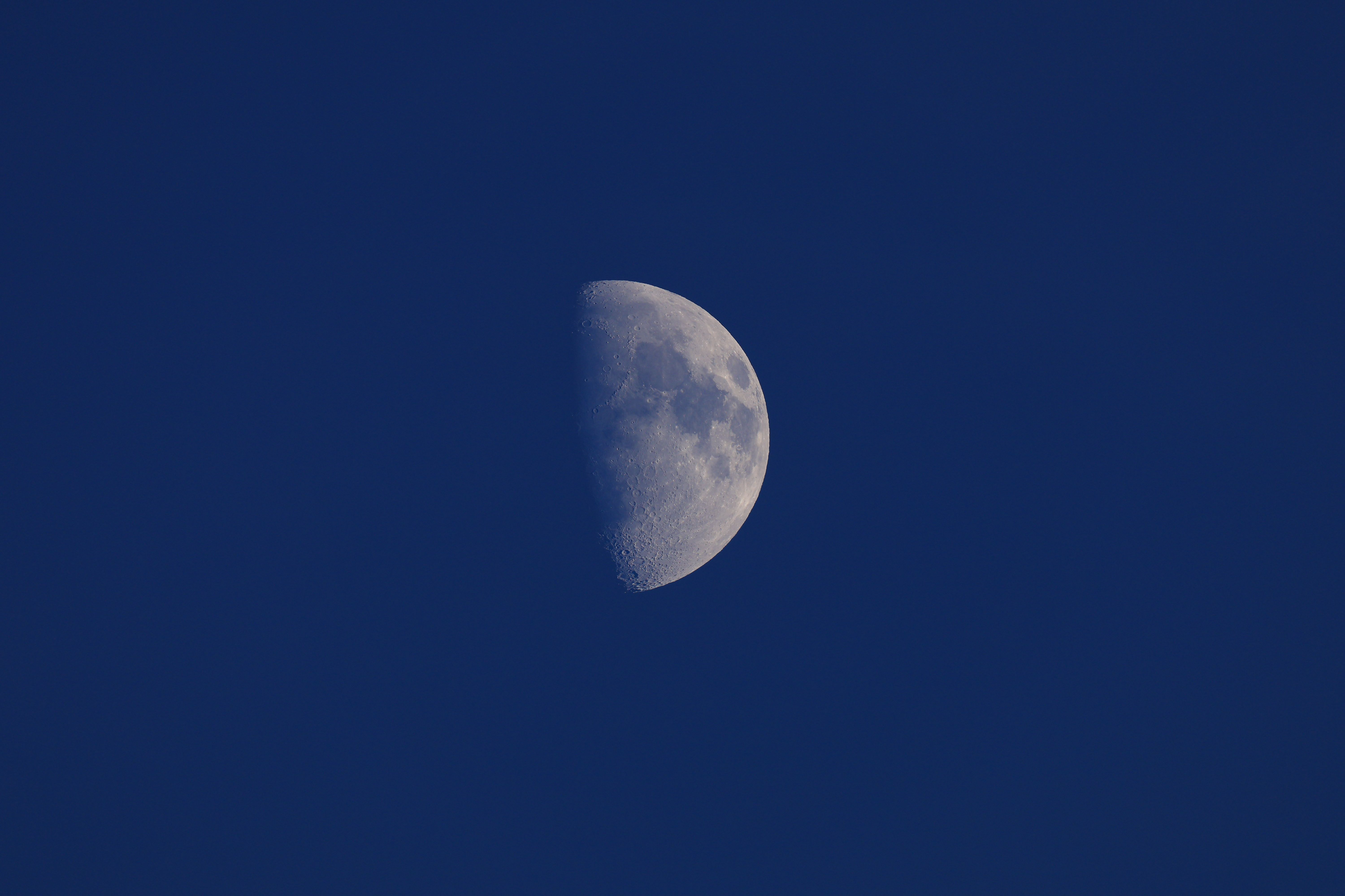 Half Moon in Clear Night Sky, Astronomy Focus · Free Stock Photo