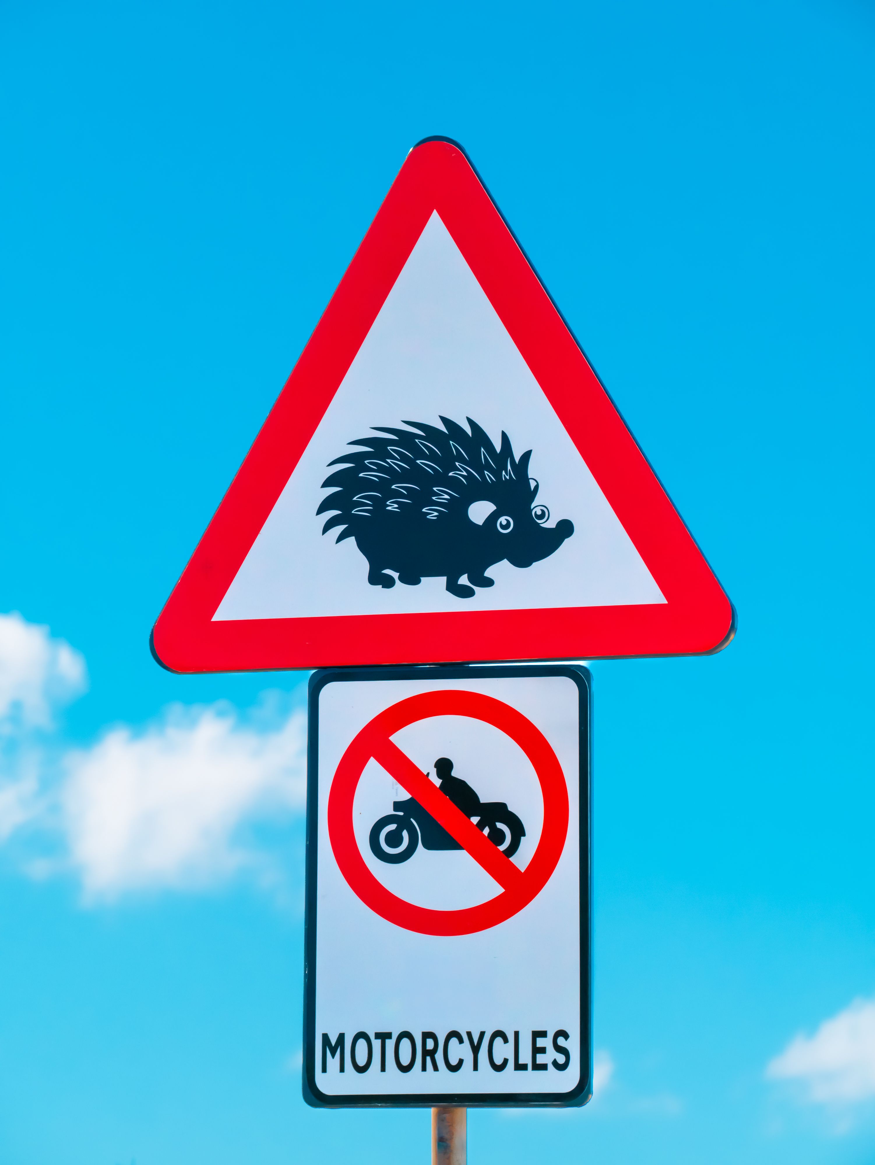 Funny Hedgehog Triangle Traffic Sign Outdoors · Free Stock Photo
