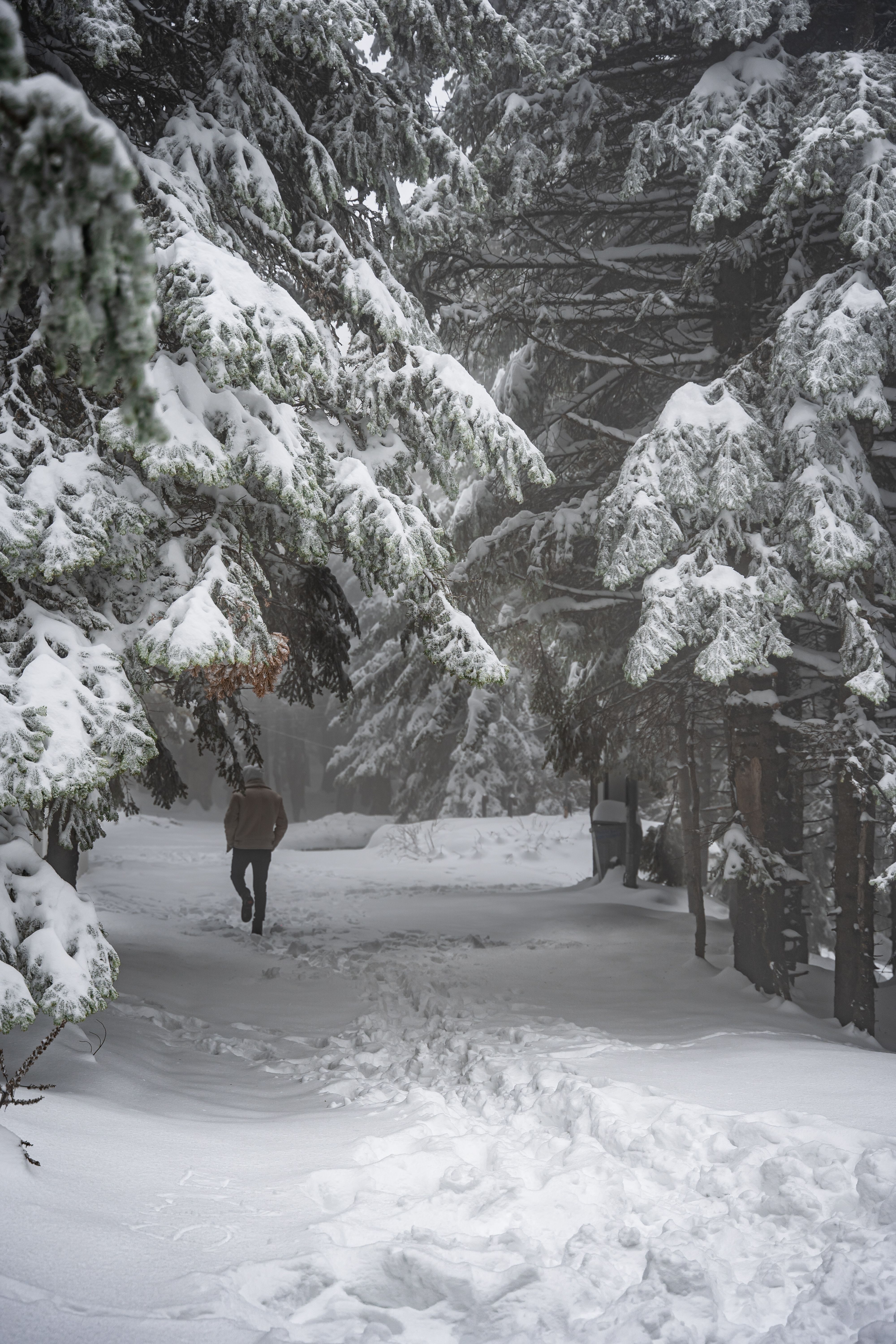 Tranquil Snowy Walk in Bursa's Winter Wonderland · Free Stock Photo