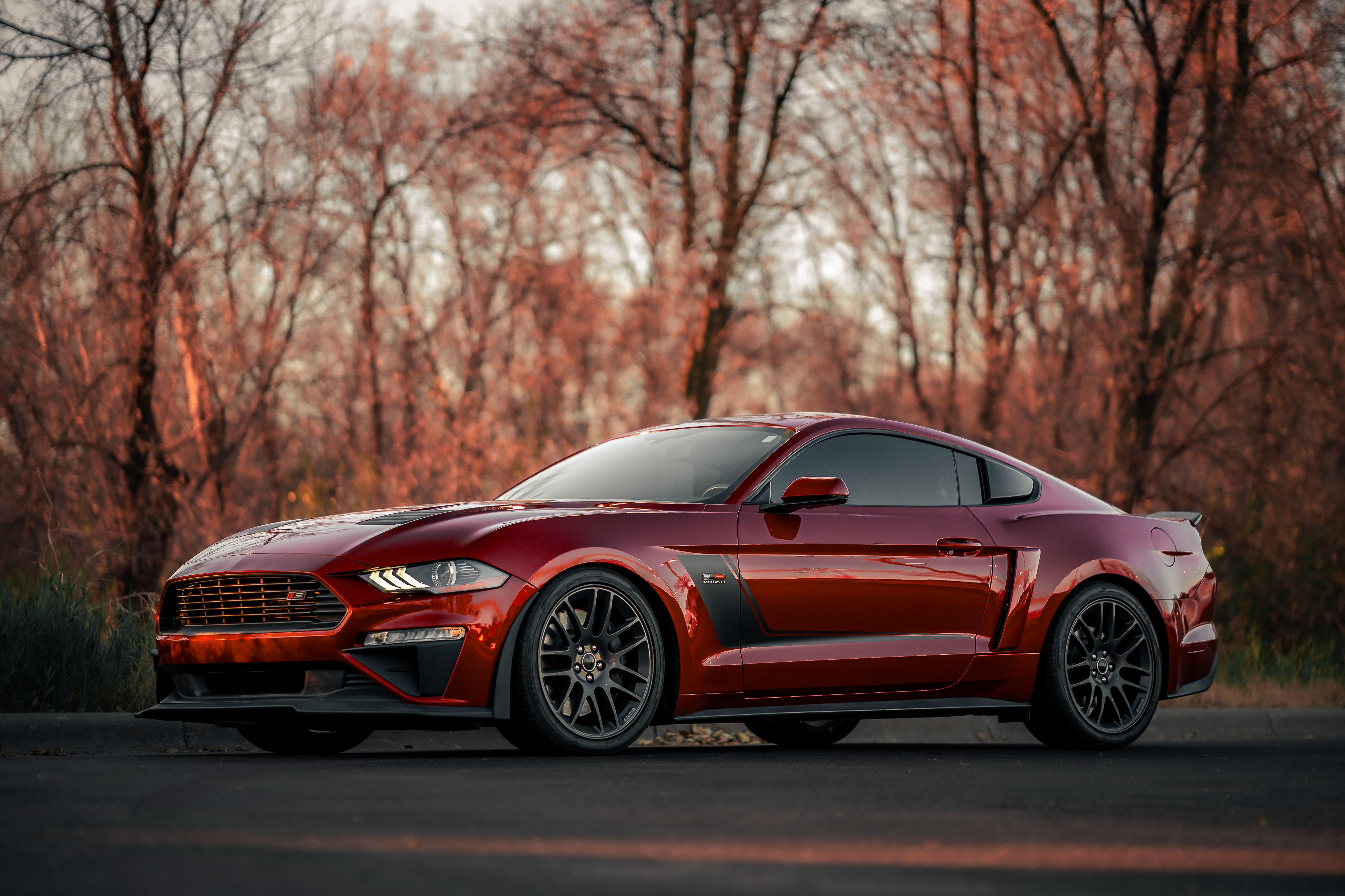 Striking Red Sports Car in Nature Setting · Free Stock Photo