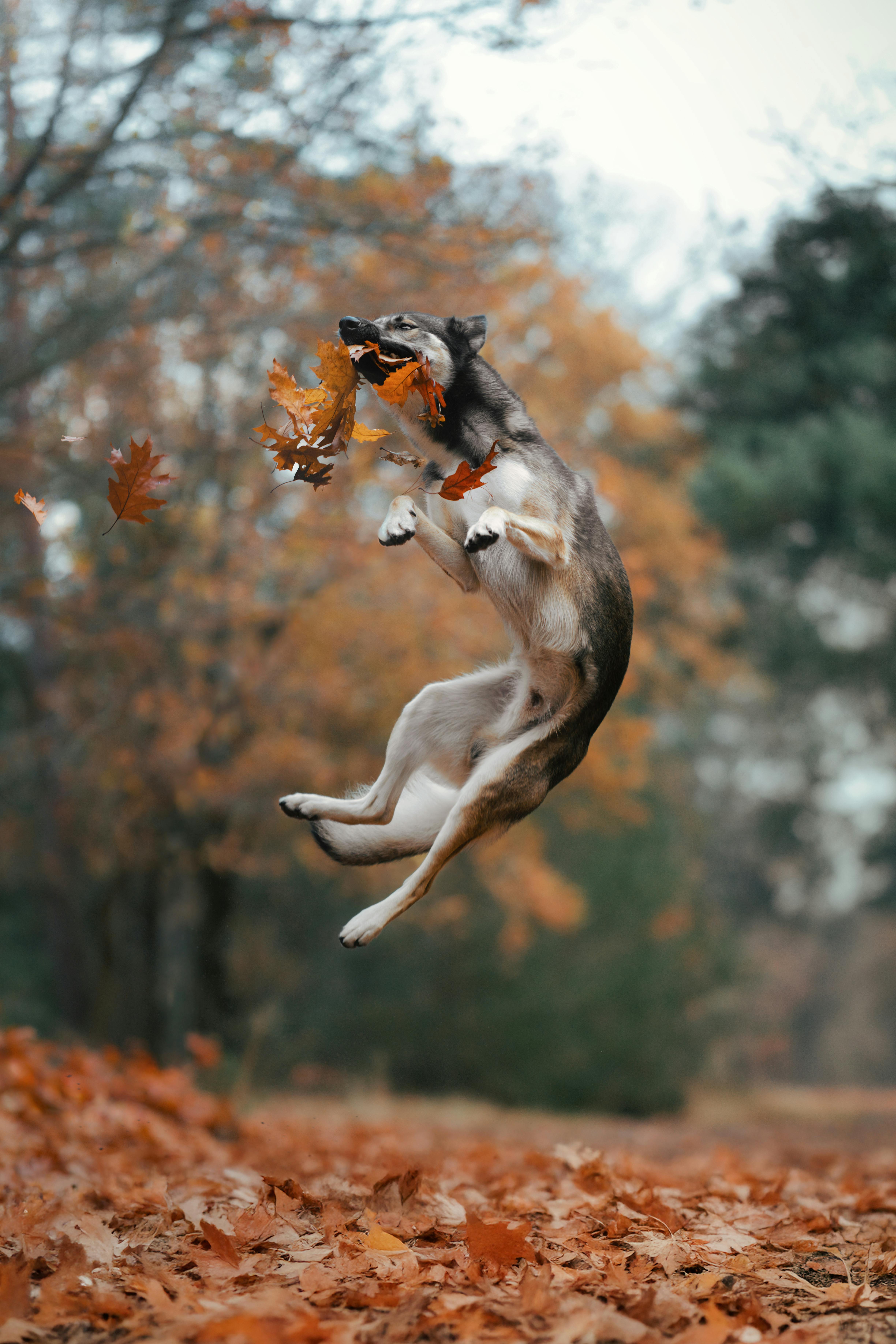 Happy+Snowy+Monday Photos, Download The BEST Free Happy+Snowy+Monday ...