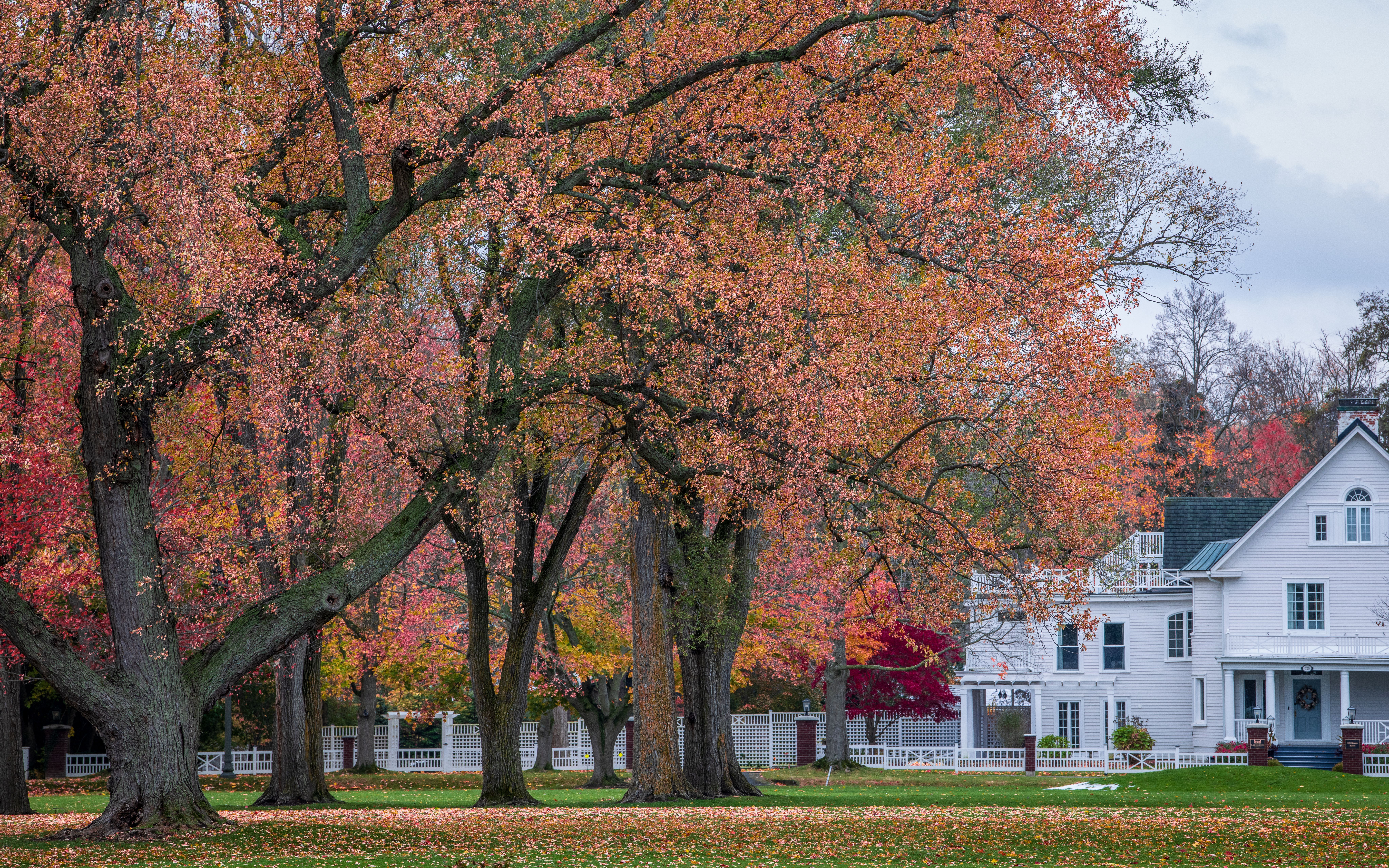 Picturesque Autumn Scene with Victorian House · Free Stock Photo