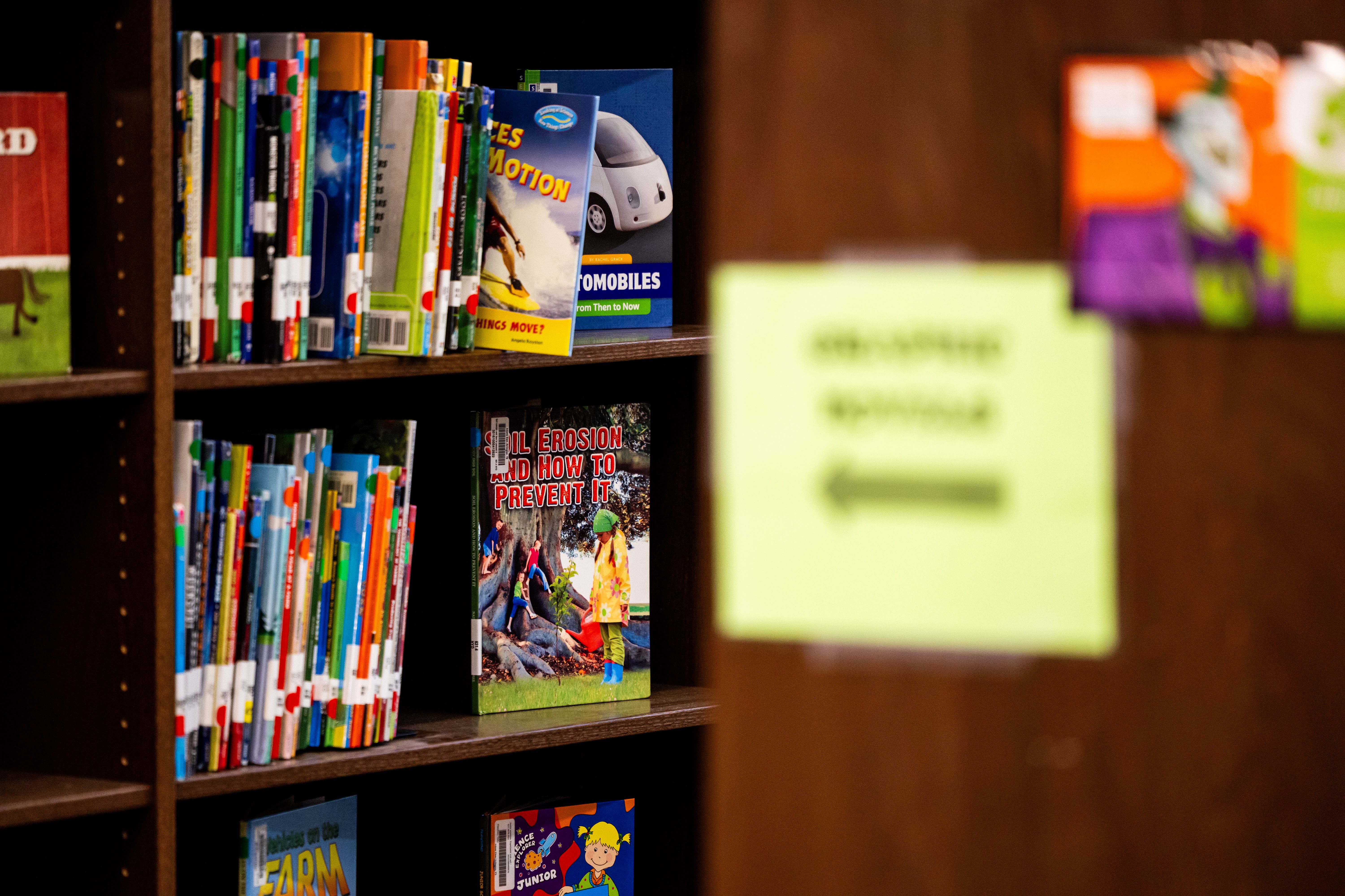 Children In The Library Photos, Download The BEST Free Children In The ...