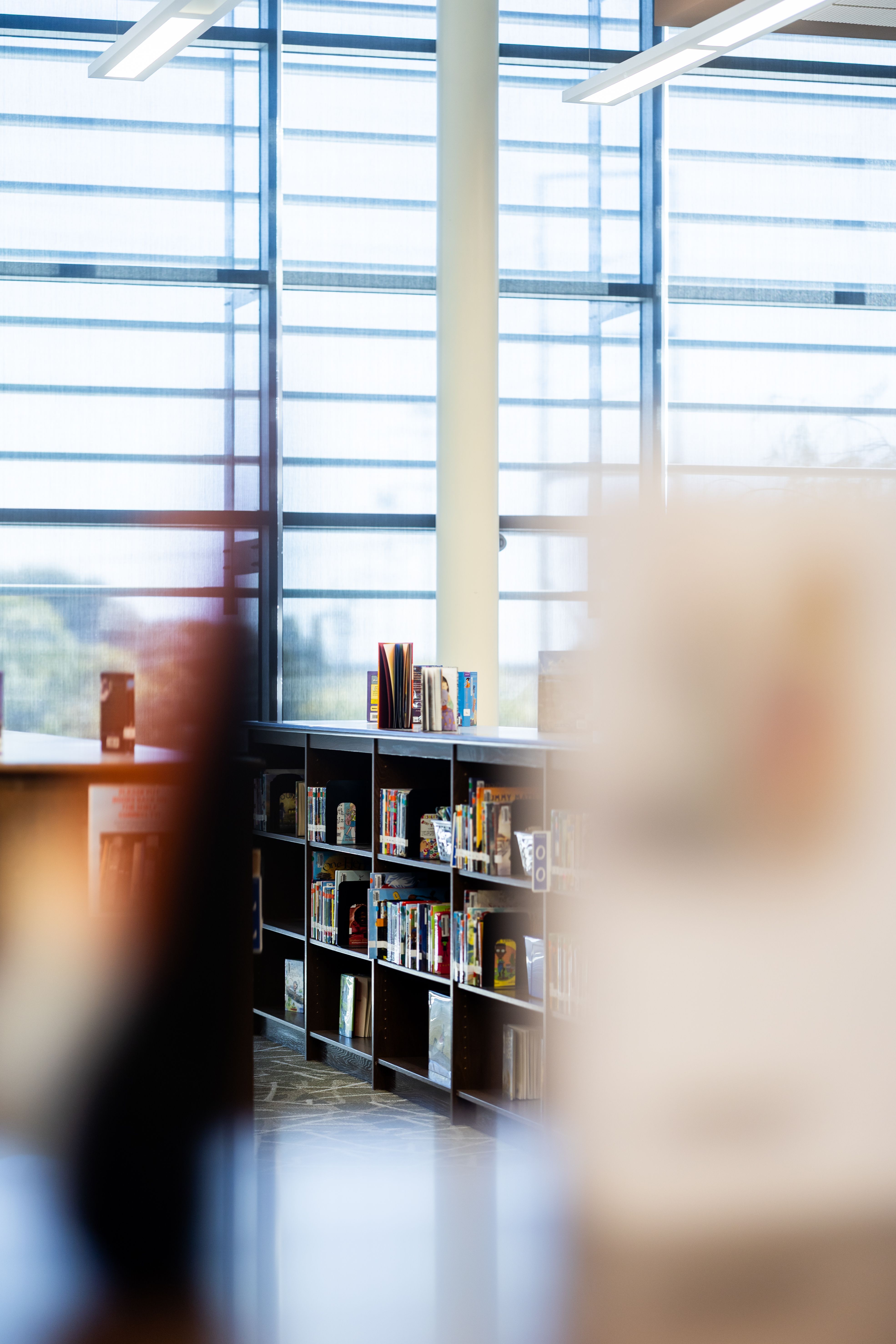 Students studying together at a Library · Free Stock Photo