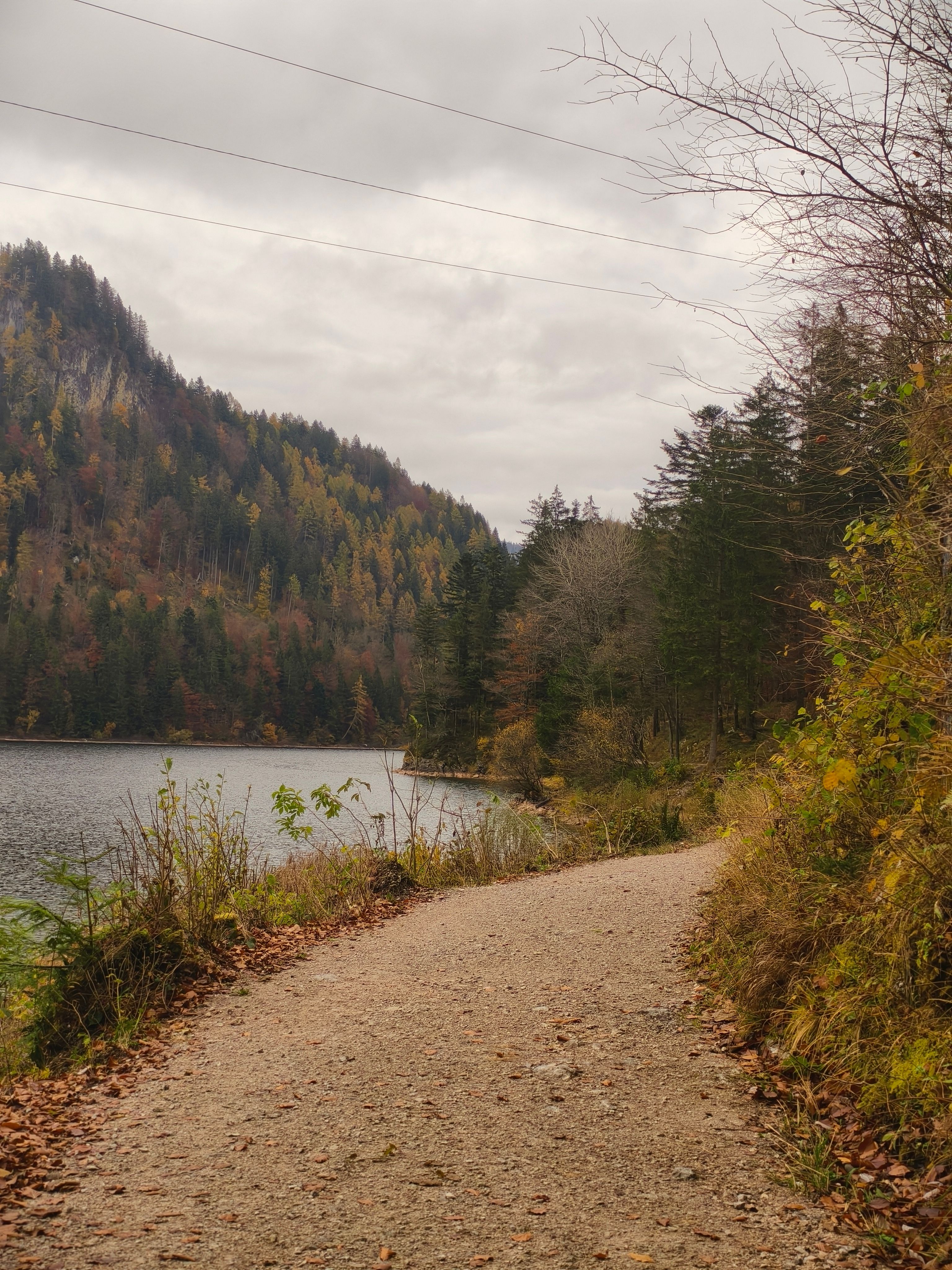 Scenic Autumn Trail by a Serene Lake · Free Stock Photo