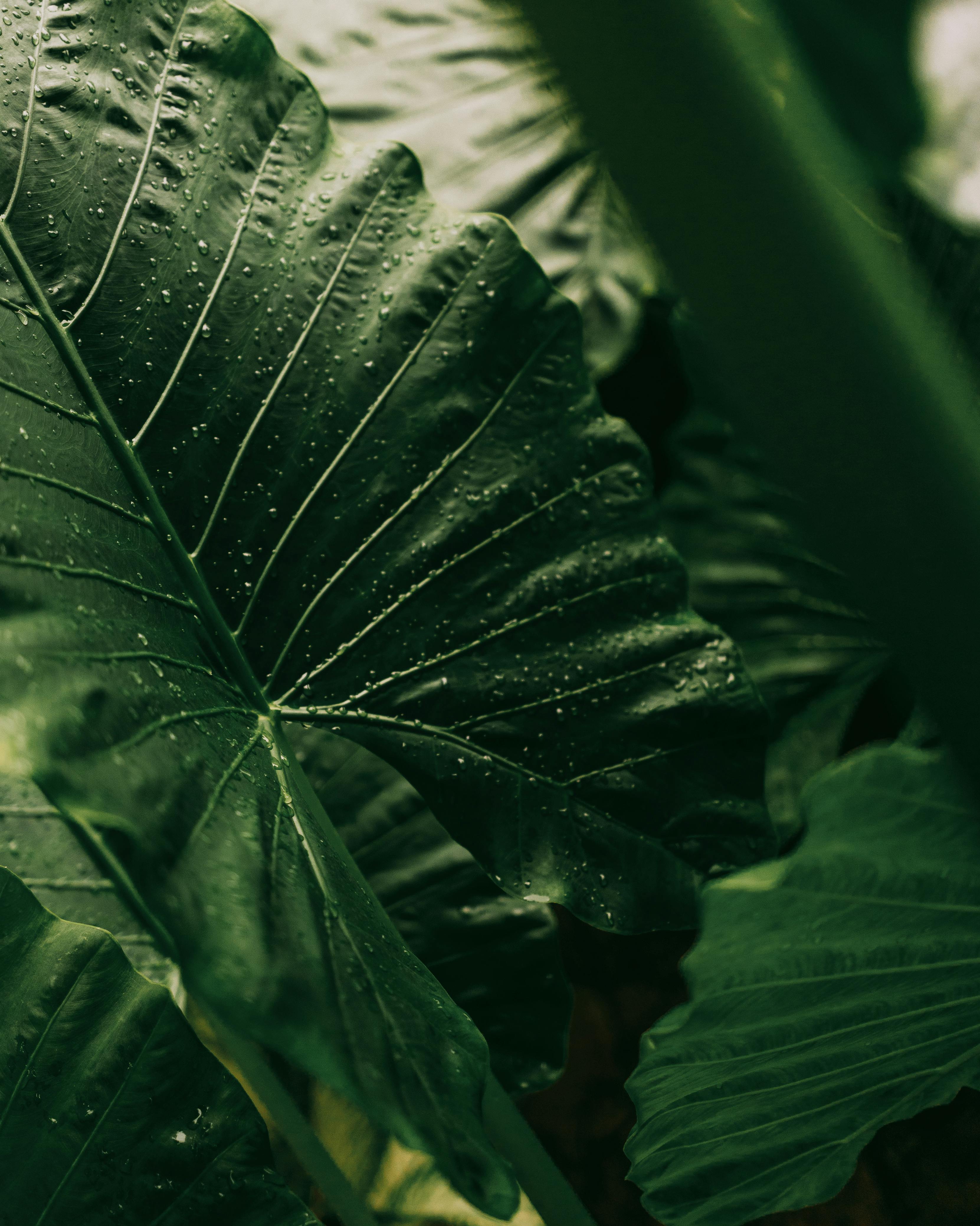 After+Imagr Photos, Download The BEST Free After+Imagr Stock Photos ...