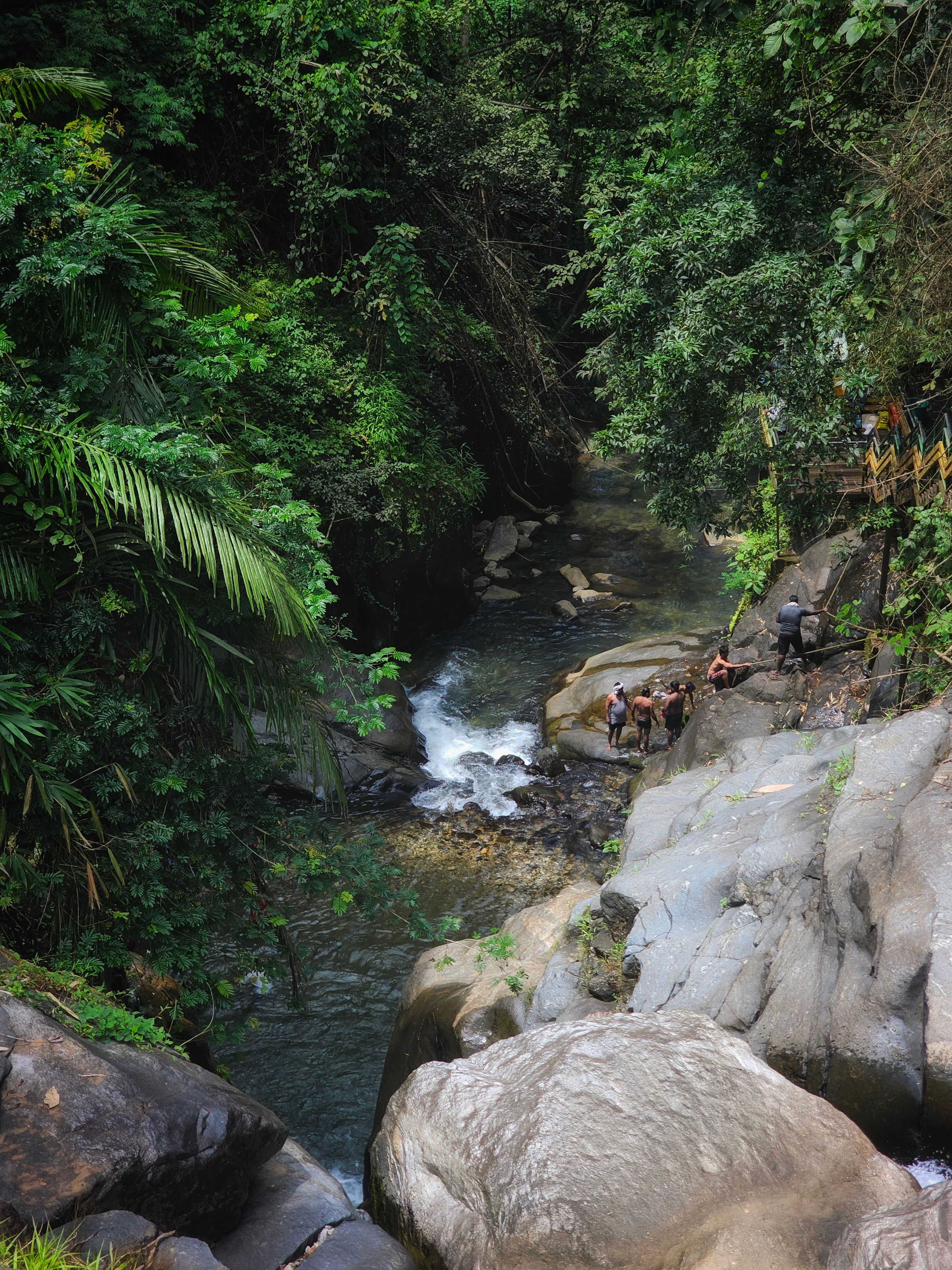 Breathtaking Jungle Stream with Adventurous Hikers · Free Stock Photo