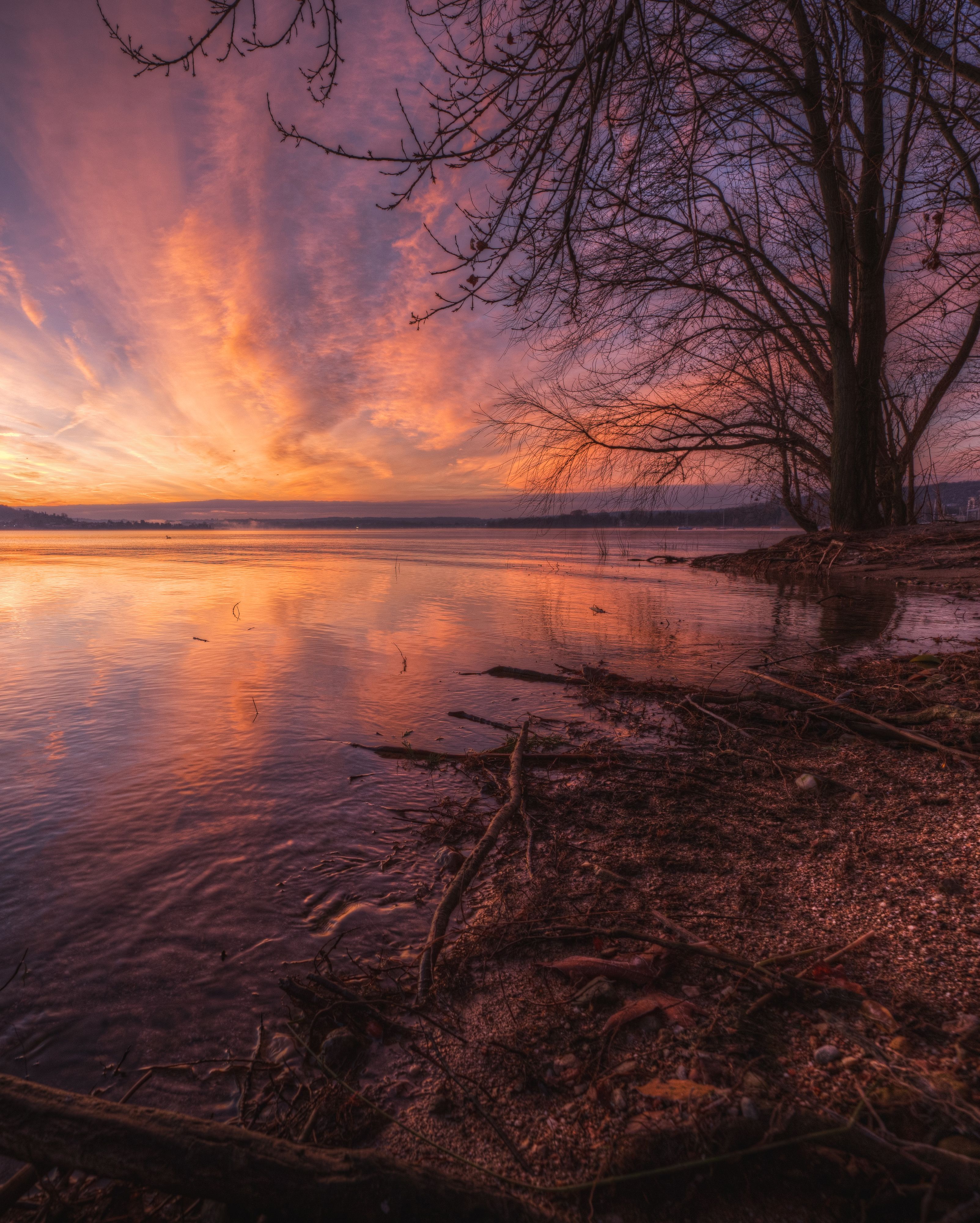 Sepia Photography of Lake · Free Stock Photo