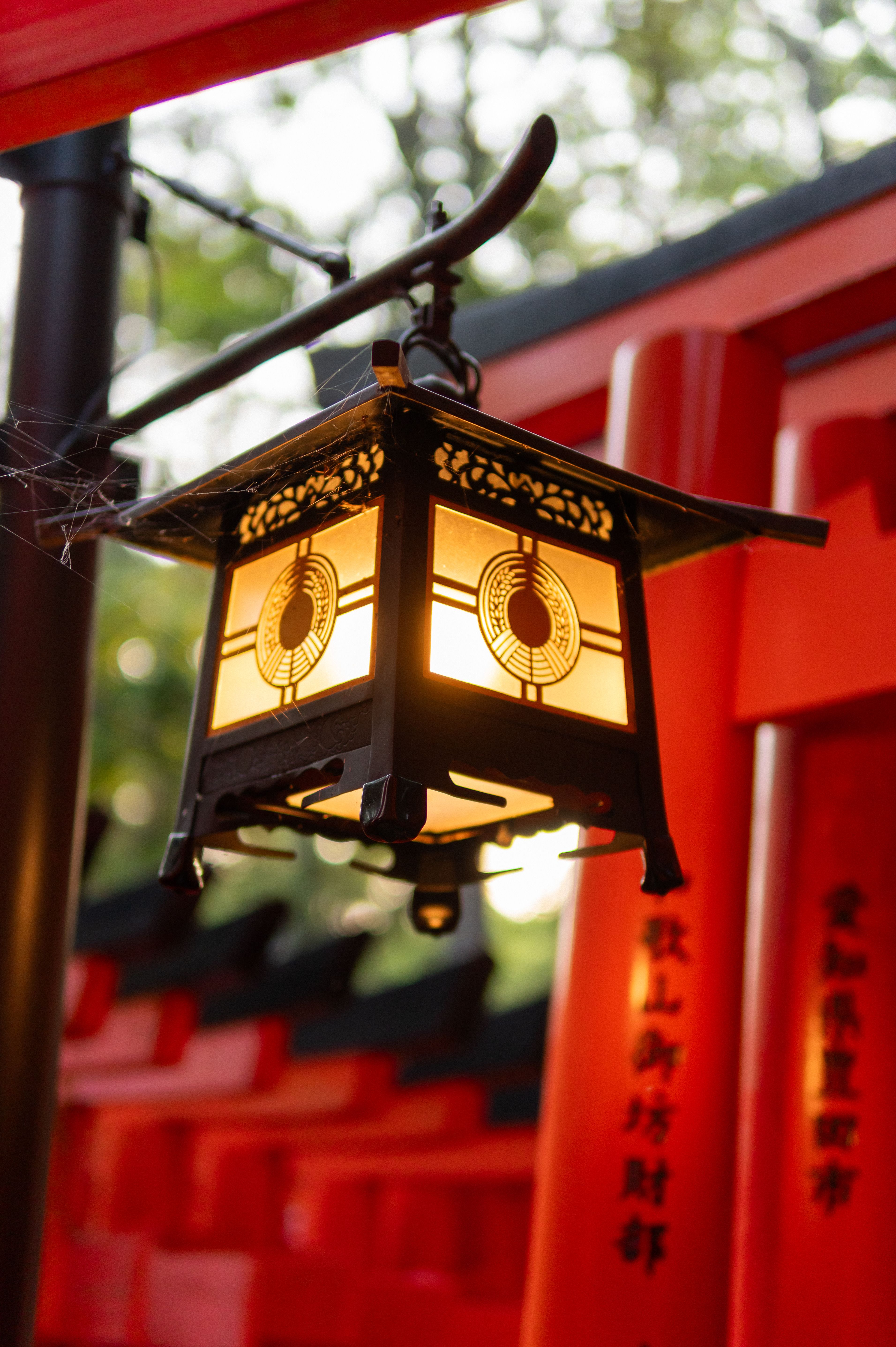Traditional Japanese Lantern at Fushimi Inari · Free Stock Photo