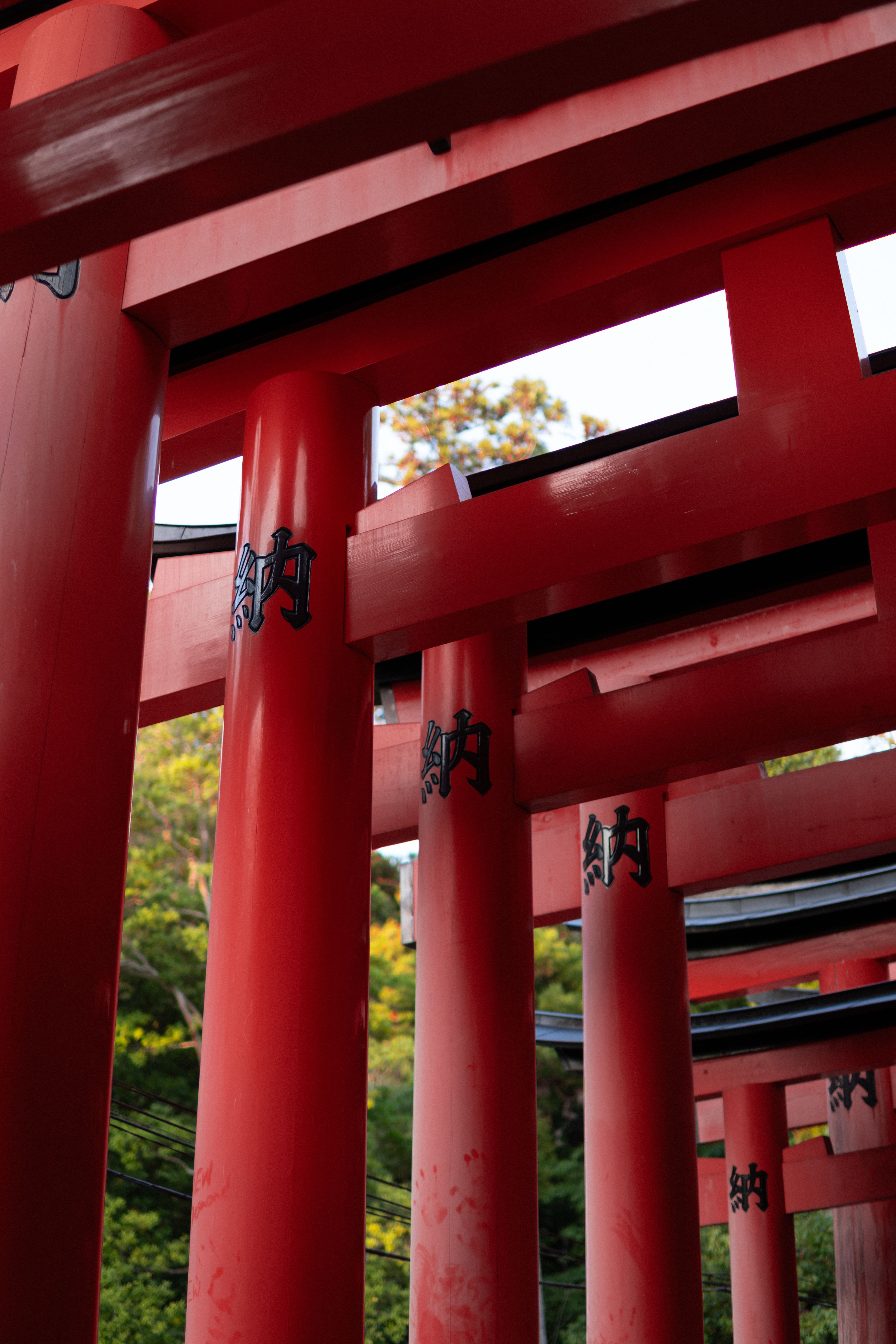 Red Torii Gates in Japanese Shrine · Free Stock Photo
