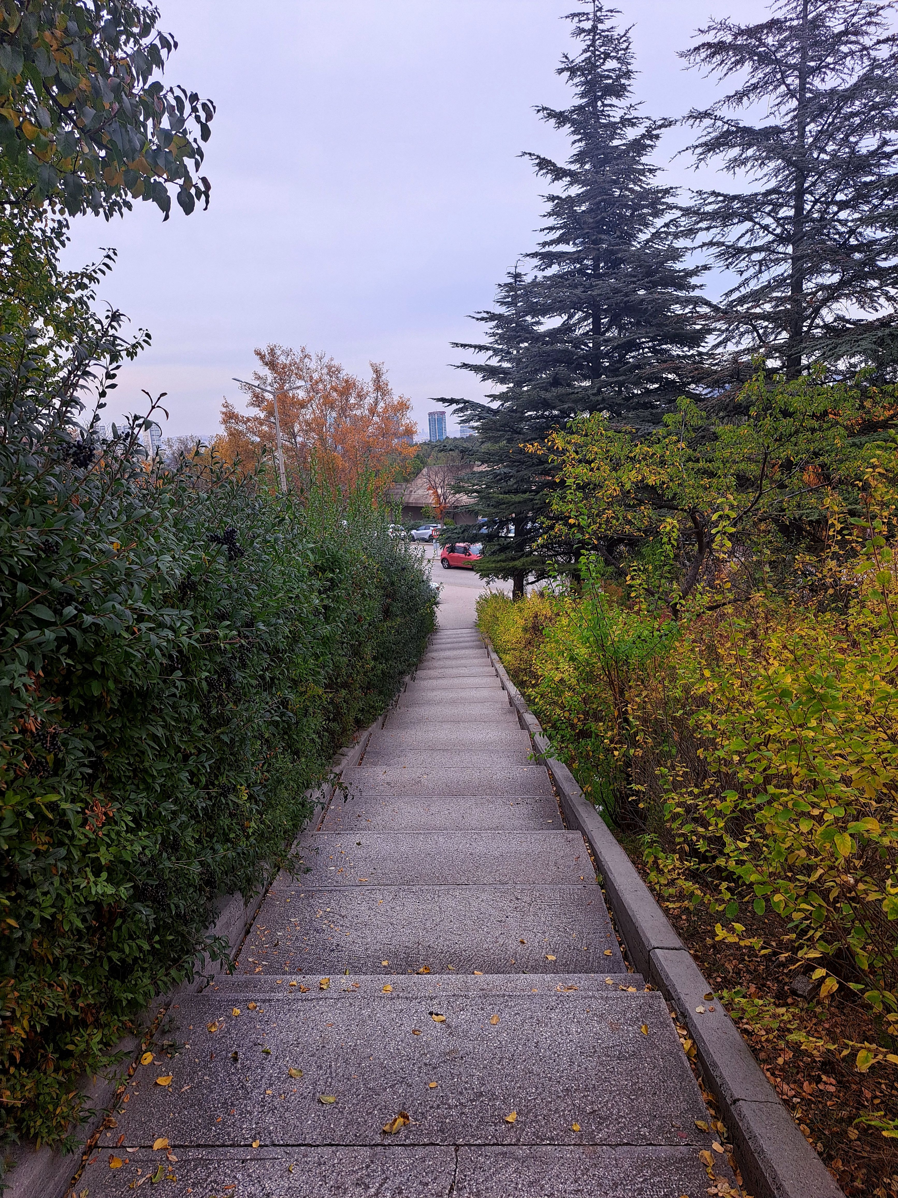 Scenic Pathway Through Autumn Foliage · Free Stock Photo
