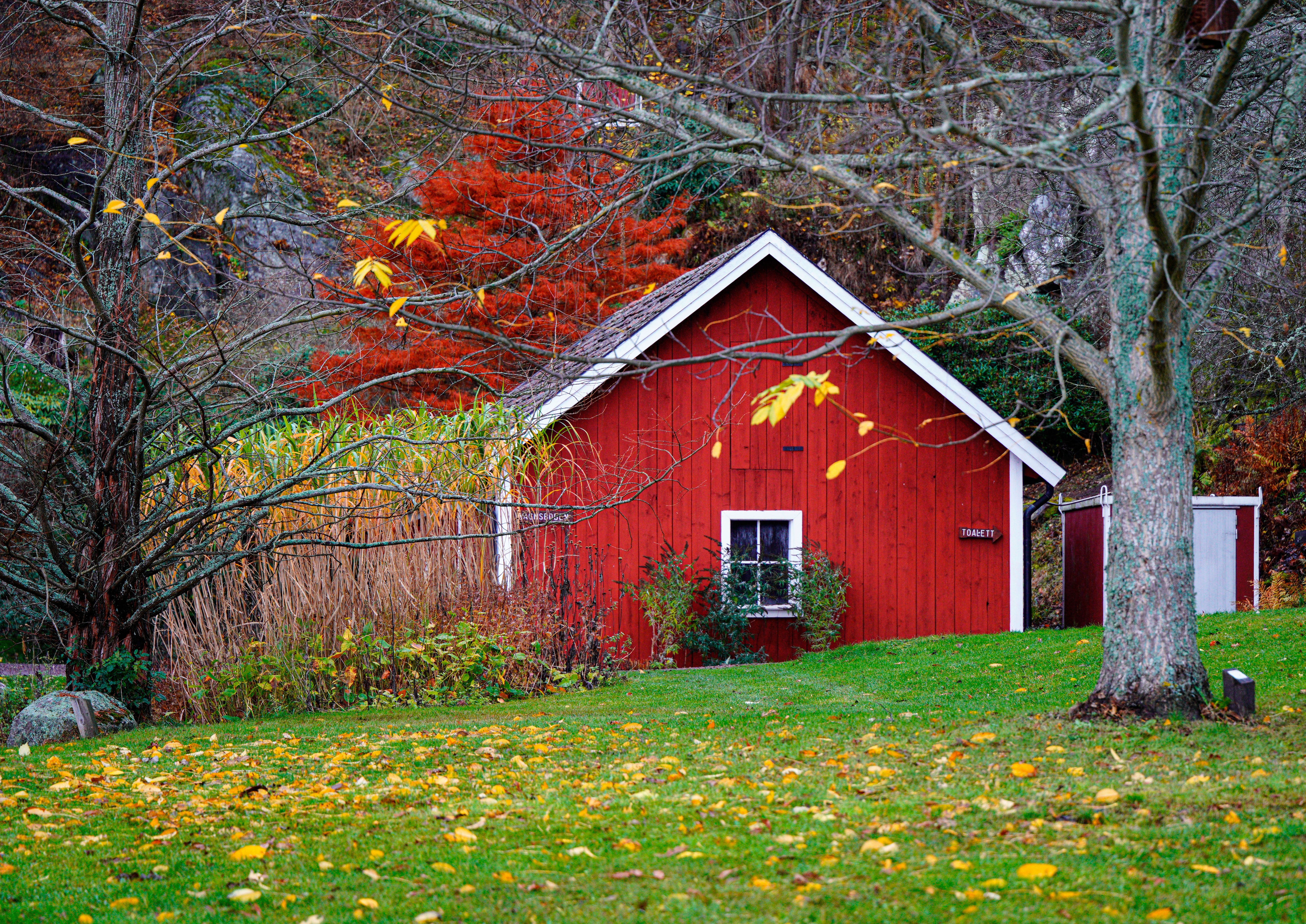 Rustic Red Barn in Autumn Landscape · Free Stock Photo