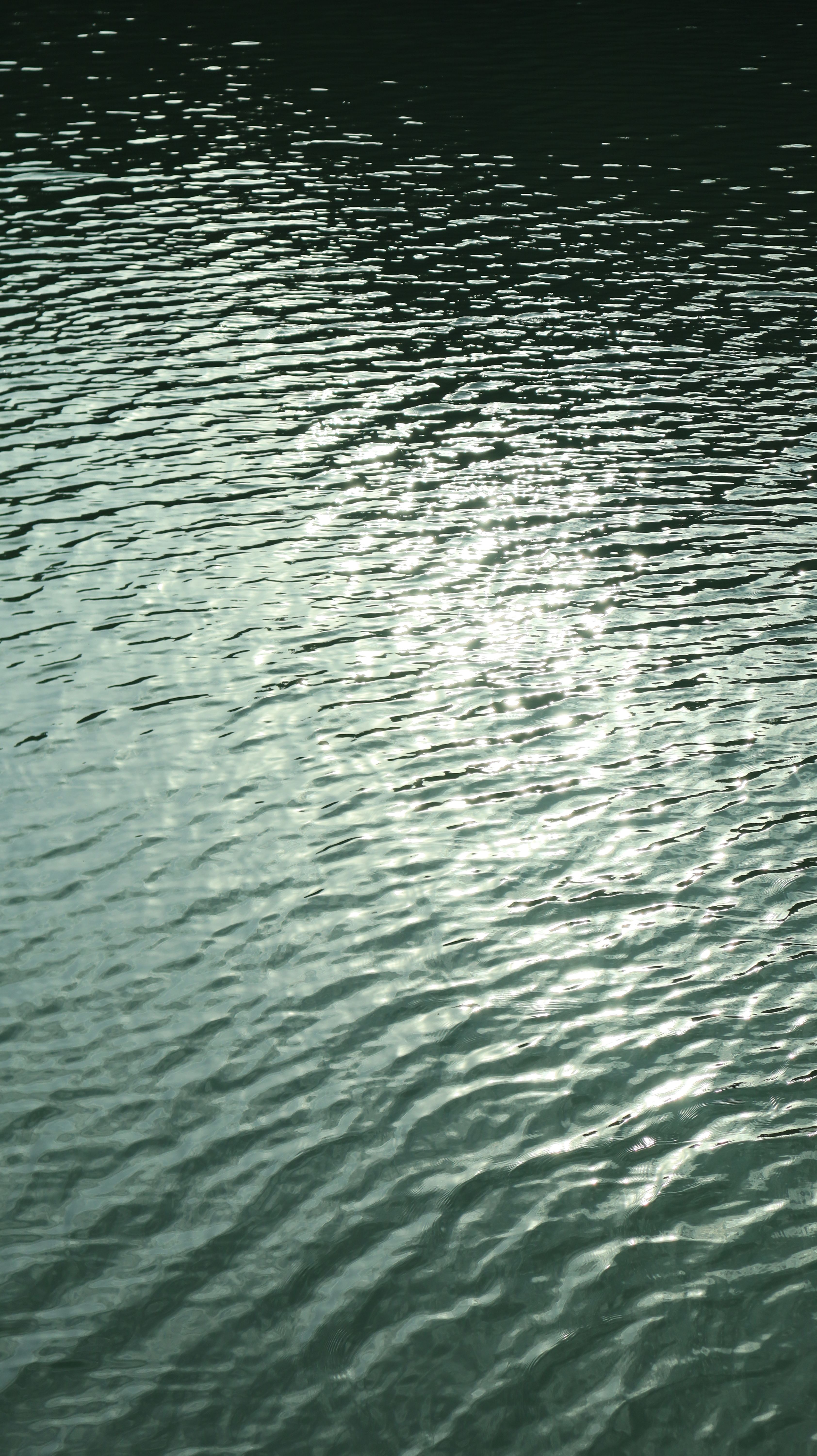 Tranquil Water Ripples with Sunlight Reflection · Free Stock Photo